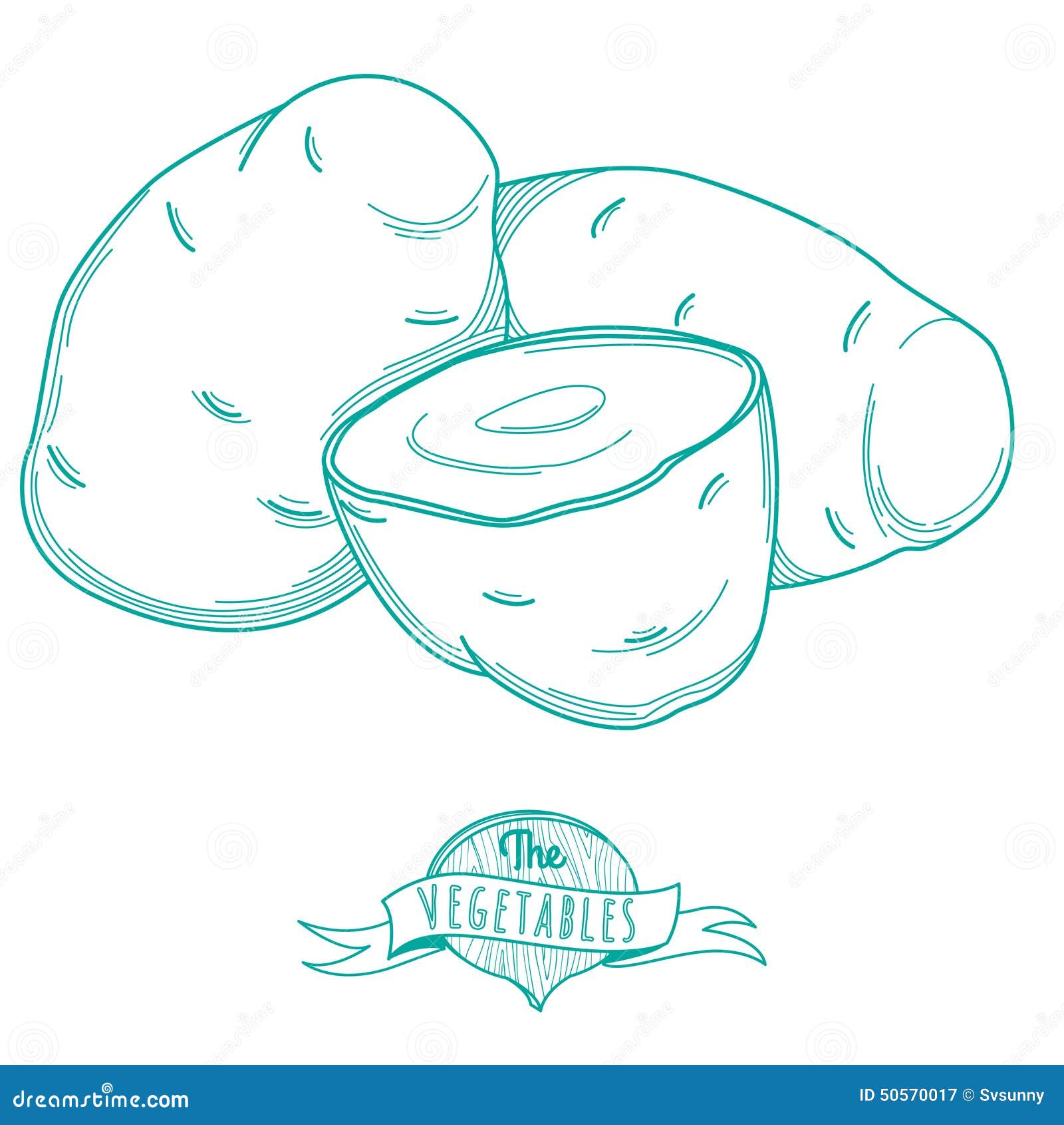 Outline Hand Drawn Sketch of Potato (flat Style, Thin Line) Stock ...
