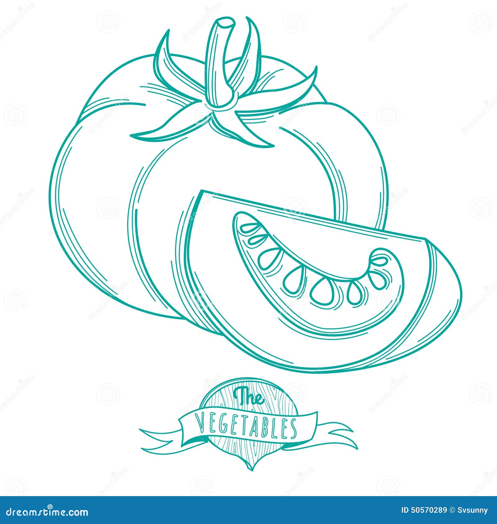 Outline Hand Drawn Sketch of Tomato (flat Style, Thin Line) Stock ...