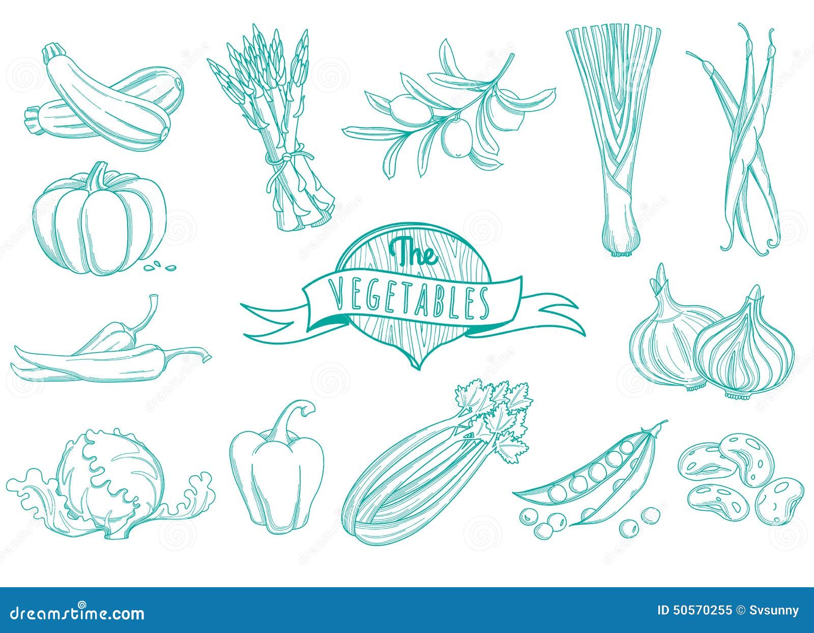 Outline Hand Drawn Vegetable Set (flat Style, Thin Line) Stock Vector ...