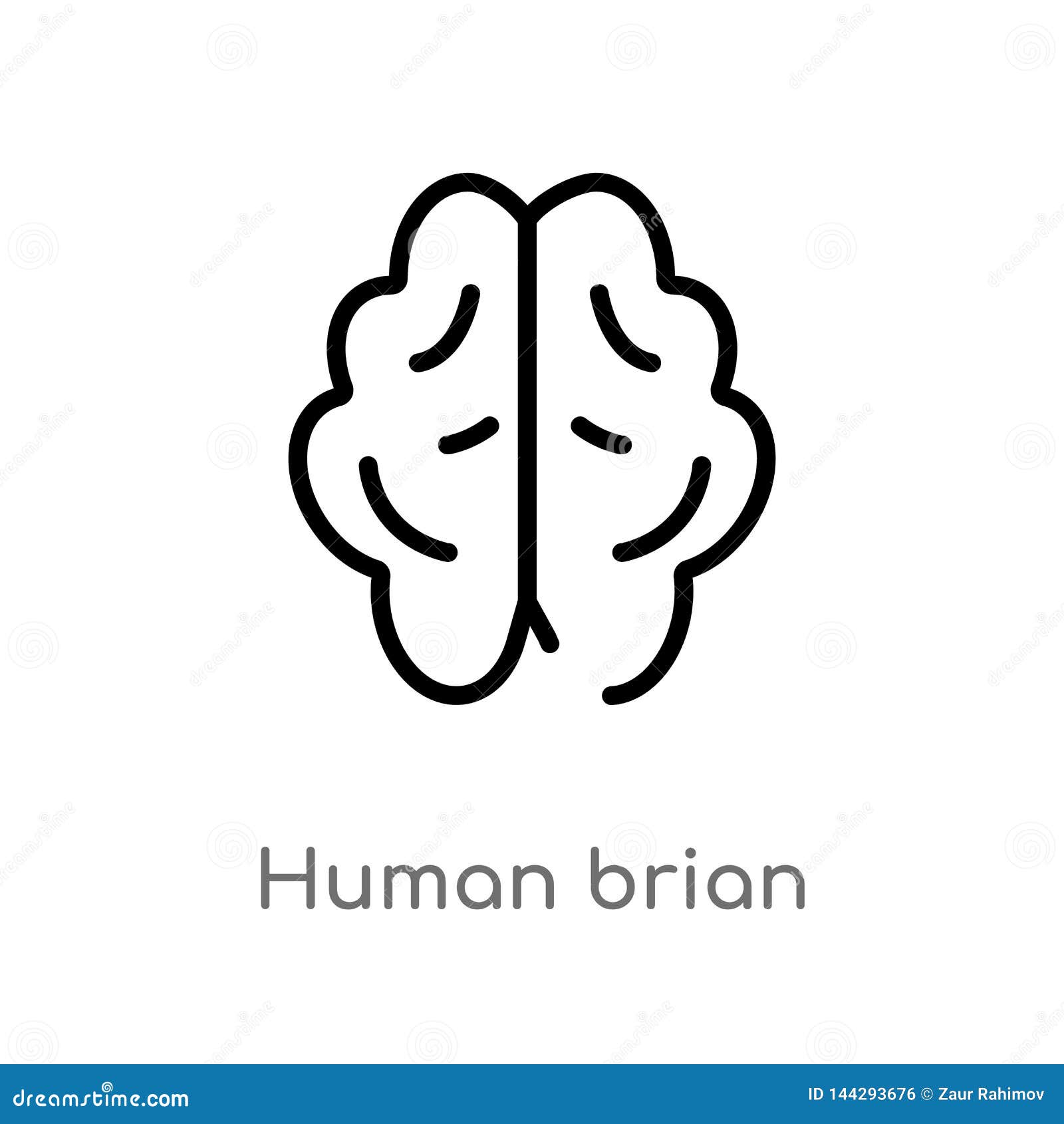 Human Brian Icon Vector Isolated On White Background, Human Brian Sign ...