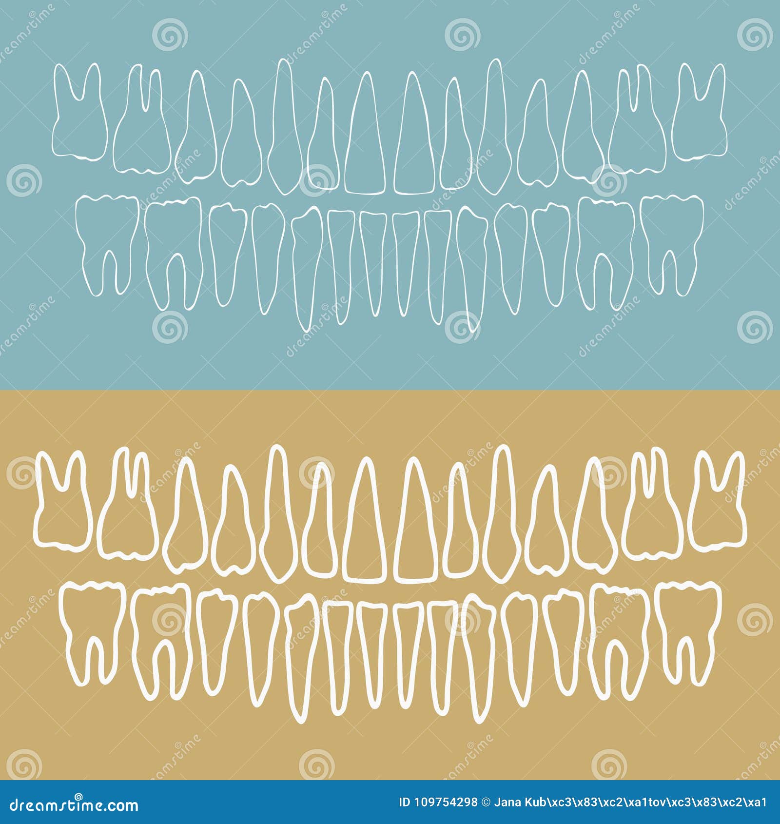 Human teeth illustration stock vector. Illustration of human - 109754298