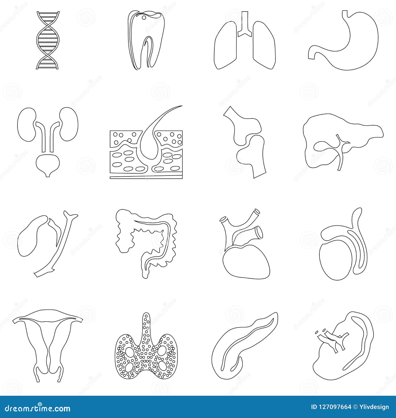 Internal Organs Icons Set, Outline Style Stock Illustration ...