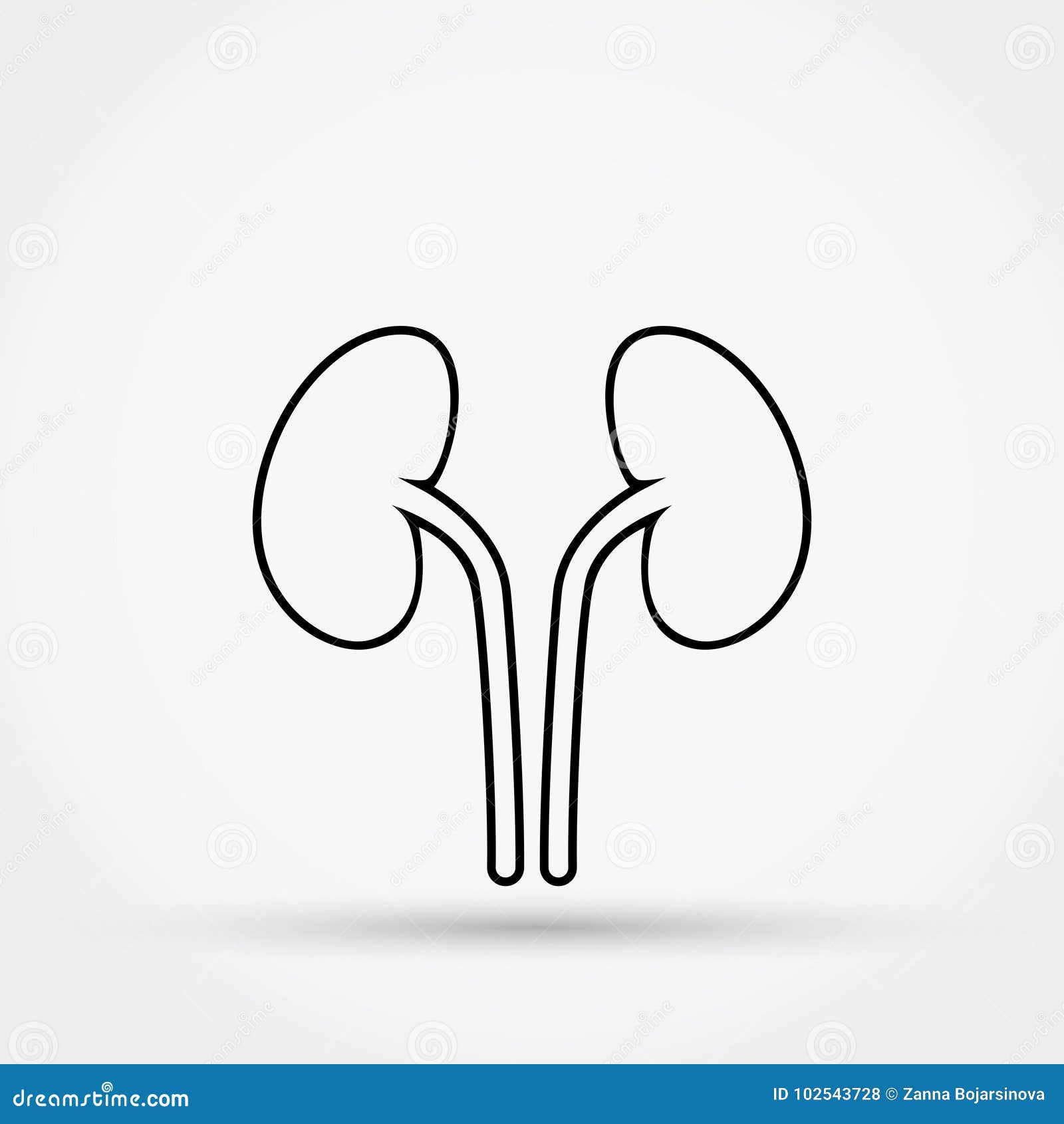 Outline Kidneys Vector Icon. Stock Vector - Illustration of medical ...