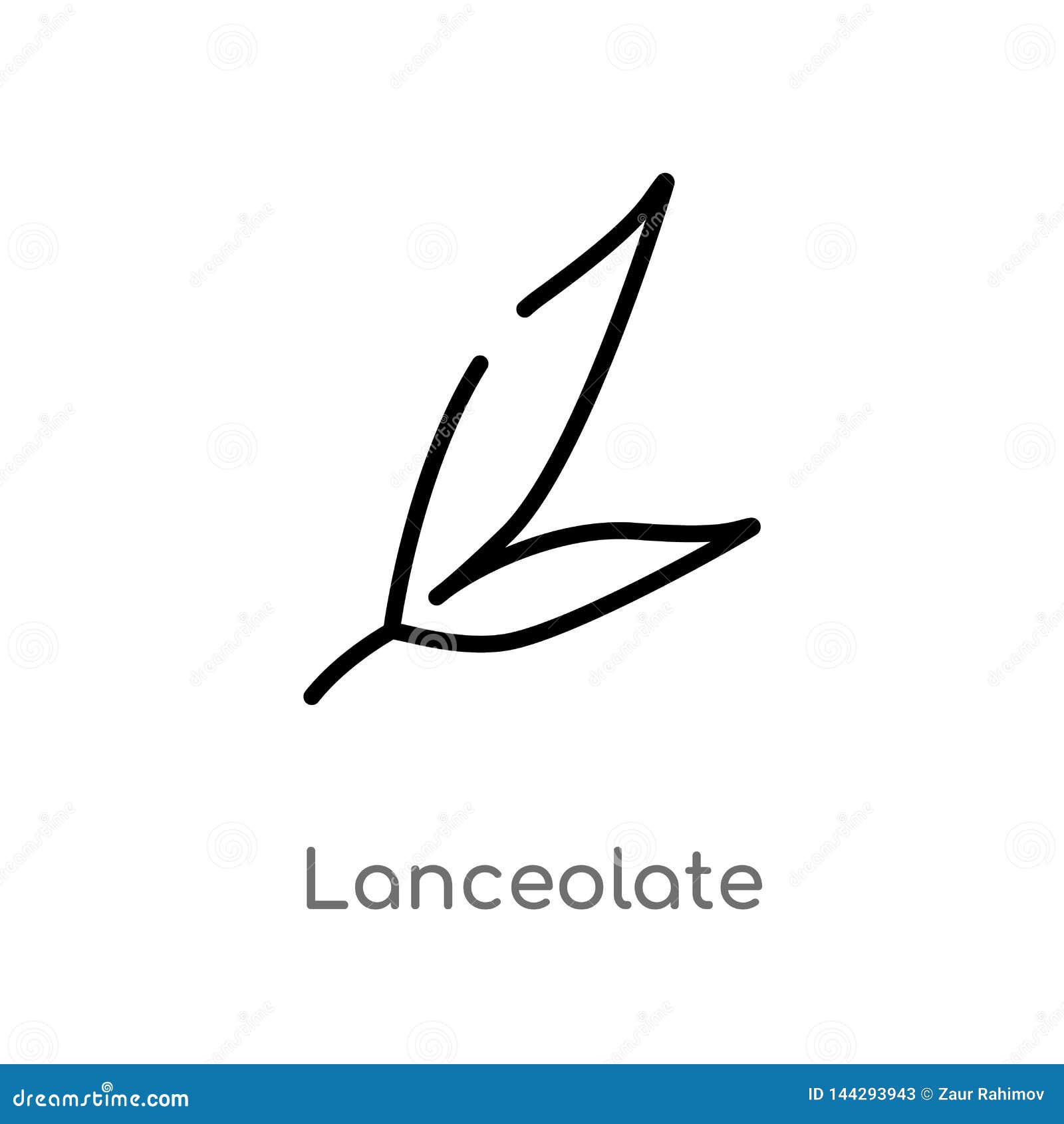 Lanceolate Vector Icon On White Background. Flat Vector Lanceolate Icon ...