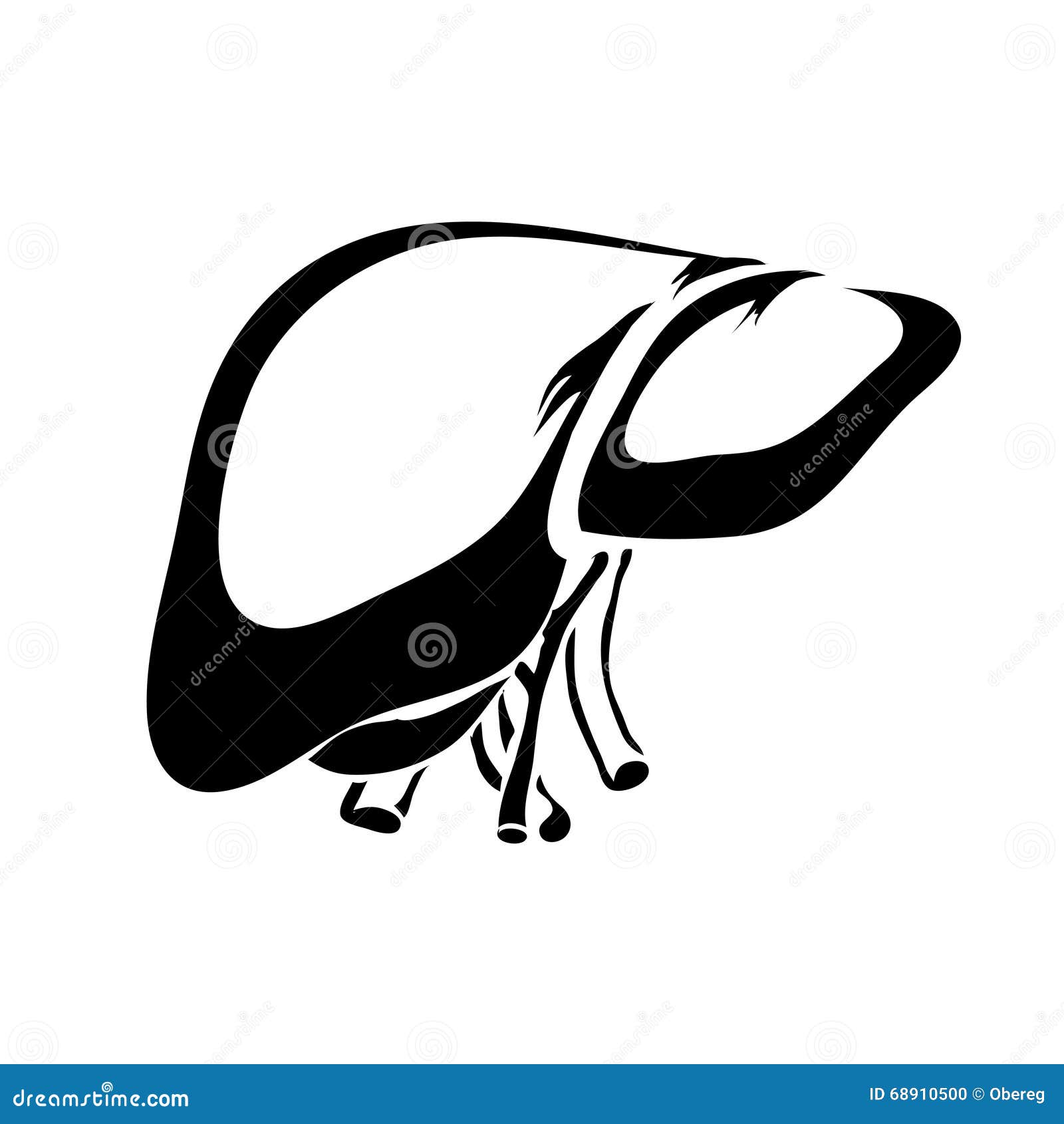 Outline Liver Human Internal Organs Vector Illustration | CartoonDealer ...