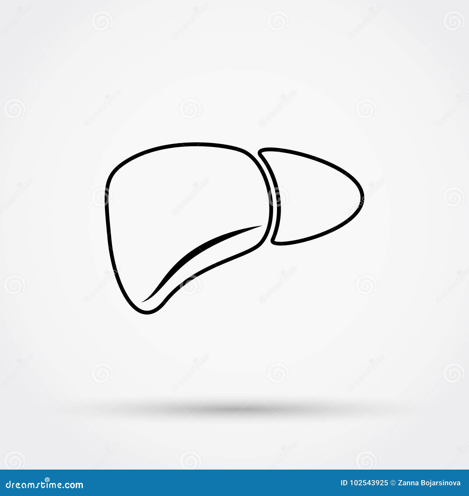 Outline Liver Stock Illustrations – 2,160 Outline Liver Stock ...