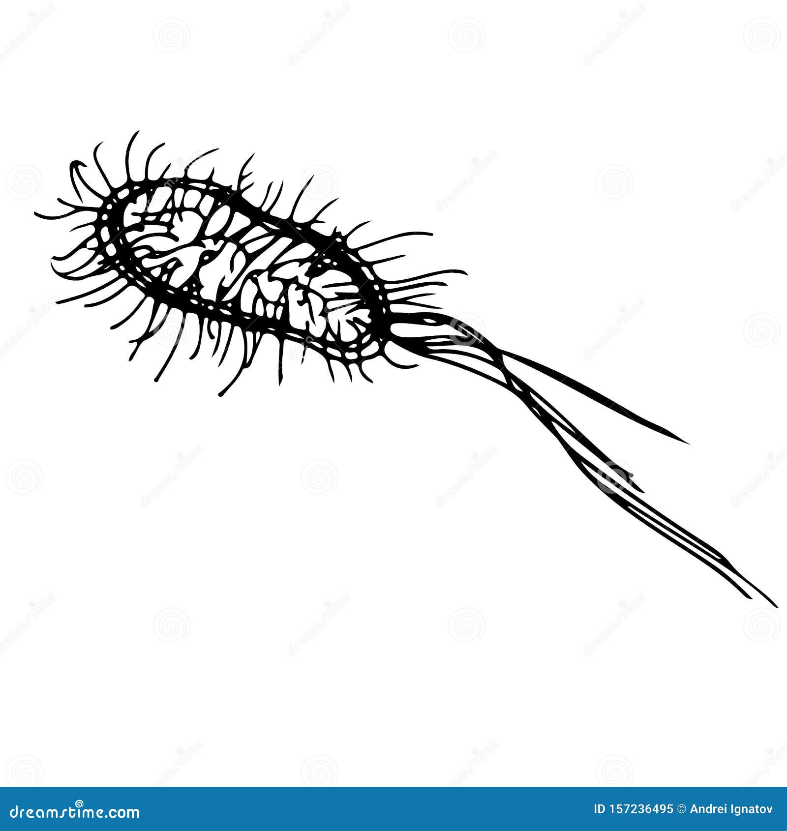 Outline Microbe Vector Icon. Isolated Black Simple Line Element ...