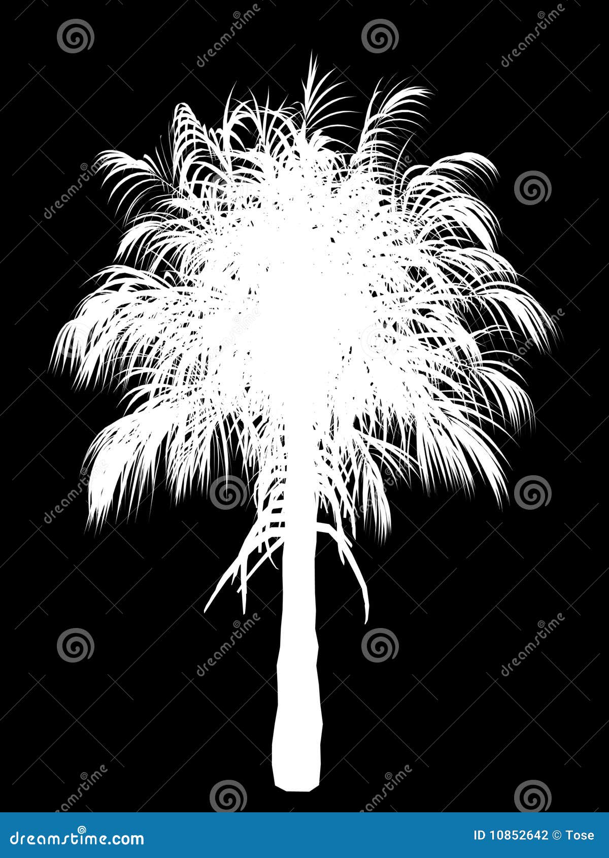 Outline Of Palm Tree Royalty-Free Stock Image | CartoonDealer.com #10852642