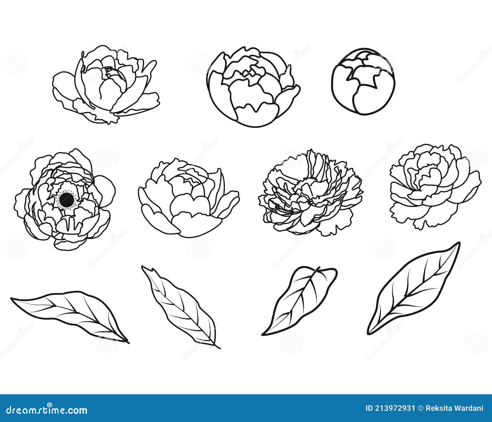 Outline Peony Flowers Vector Collection Stock Vector - Illustration of ...