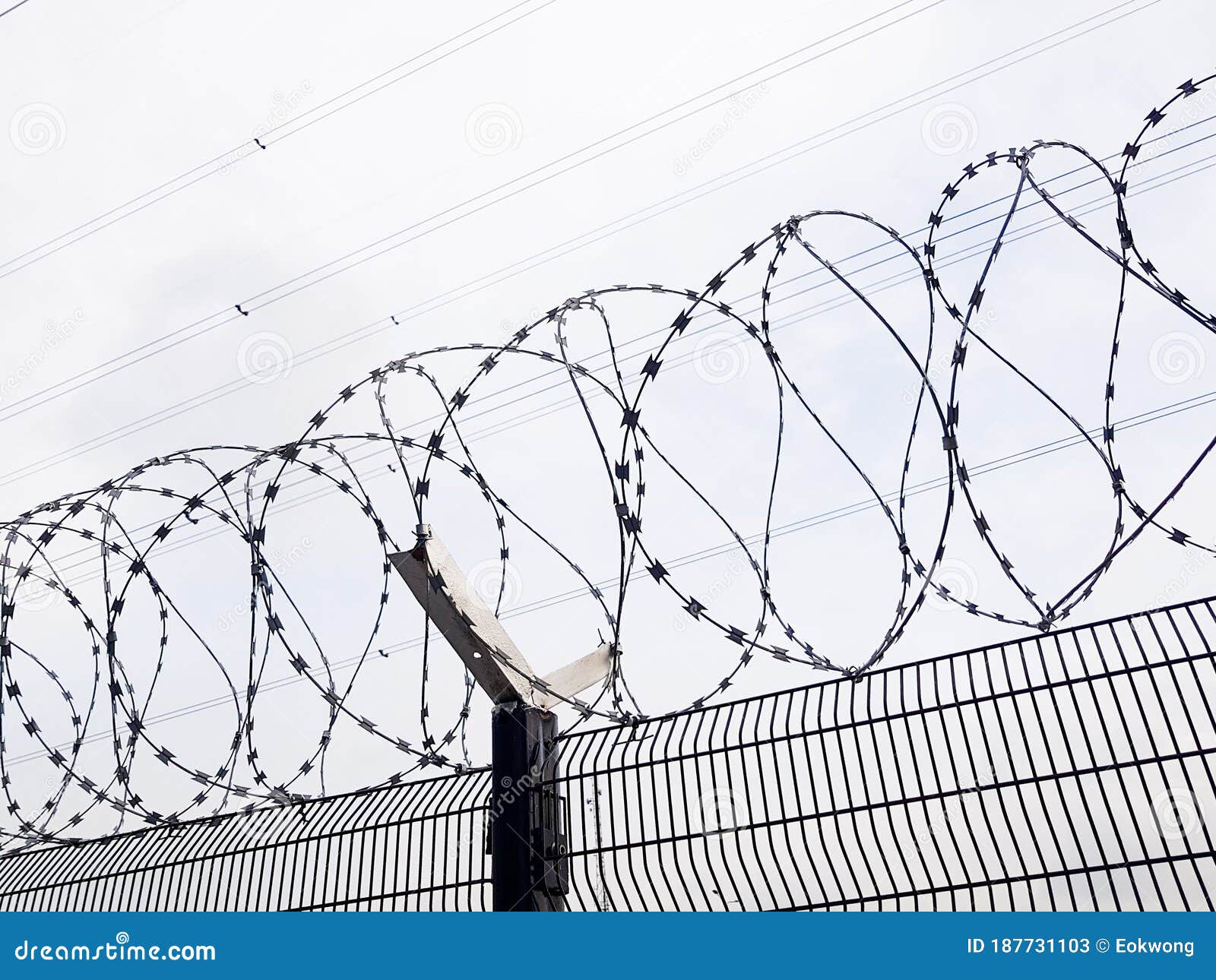 Outline Of Razor Wire Coils On A Perimeter Fence. Maximum Security ...