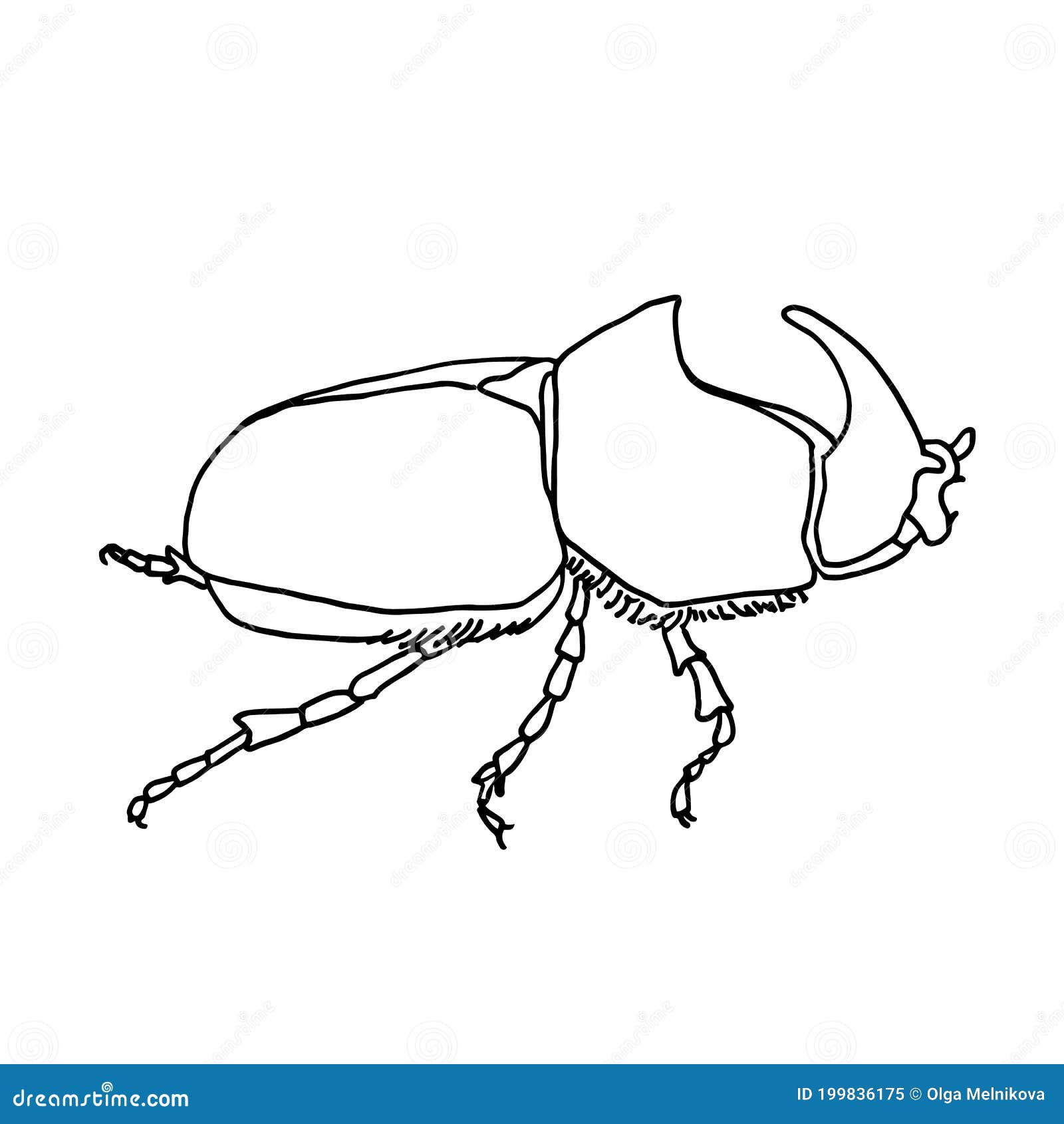 Set Of Outline Of A Rhinoceros Beetle, Side View. Isolated On A White ...