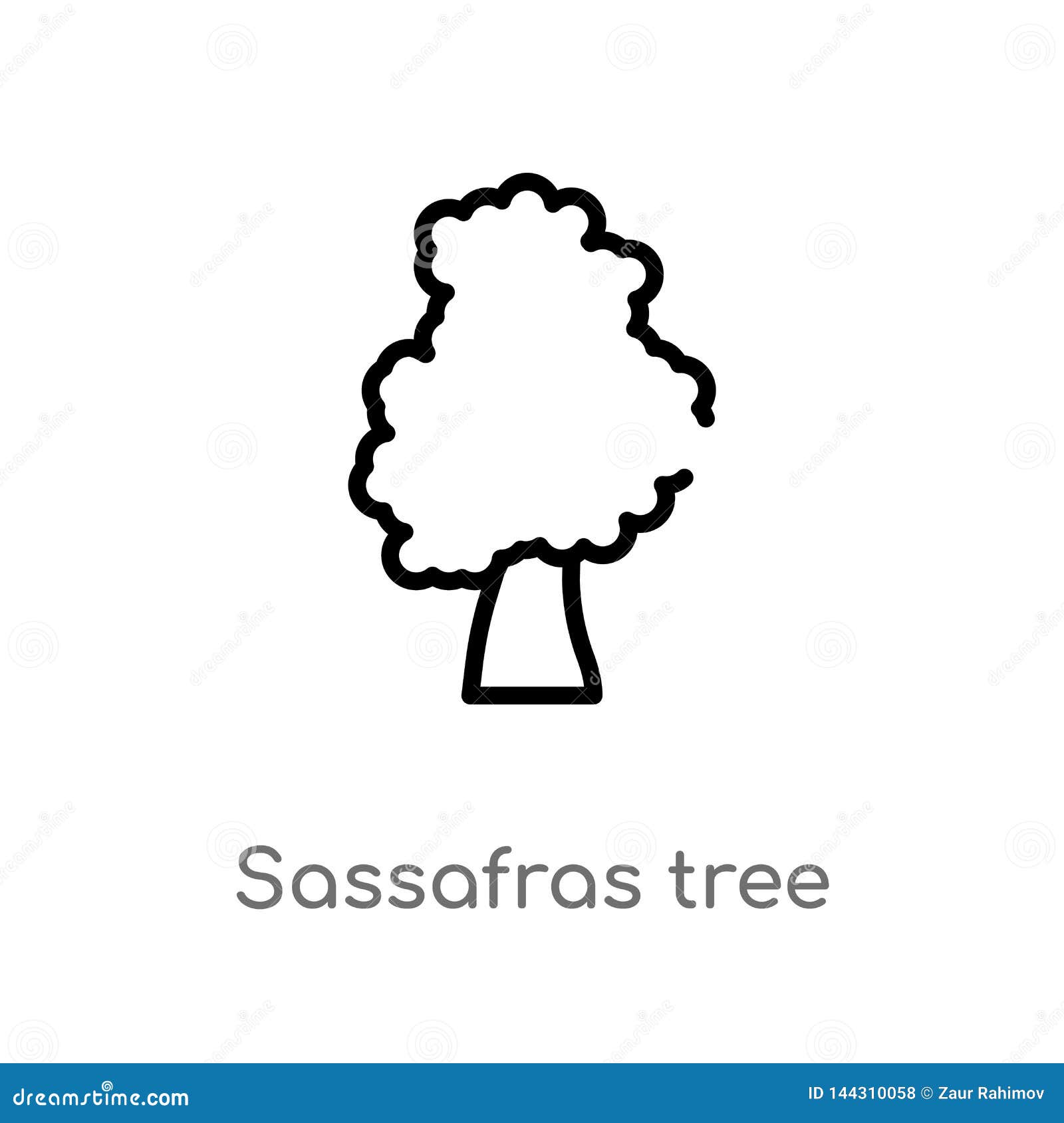 Sassafras Tree Vector Icon On White Background. Flat Vector Sassafras ...