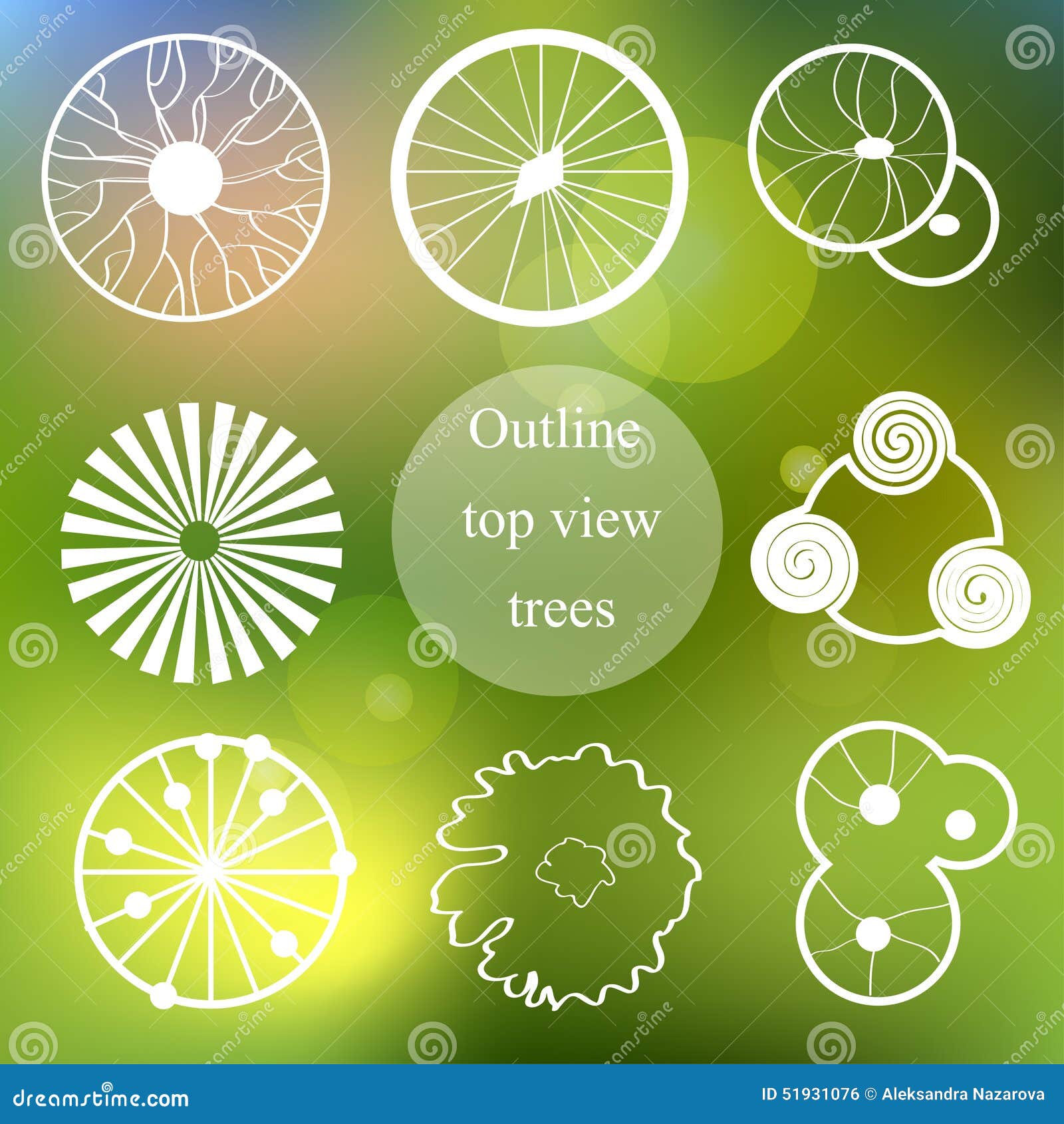 Outline Set. Trees Top View For Landscape Design Vector Illustration ...