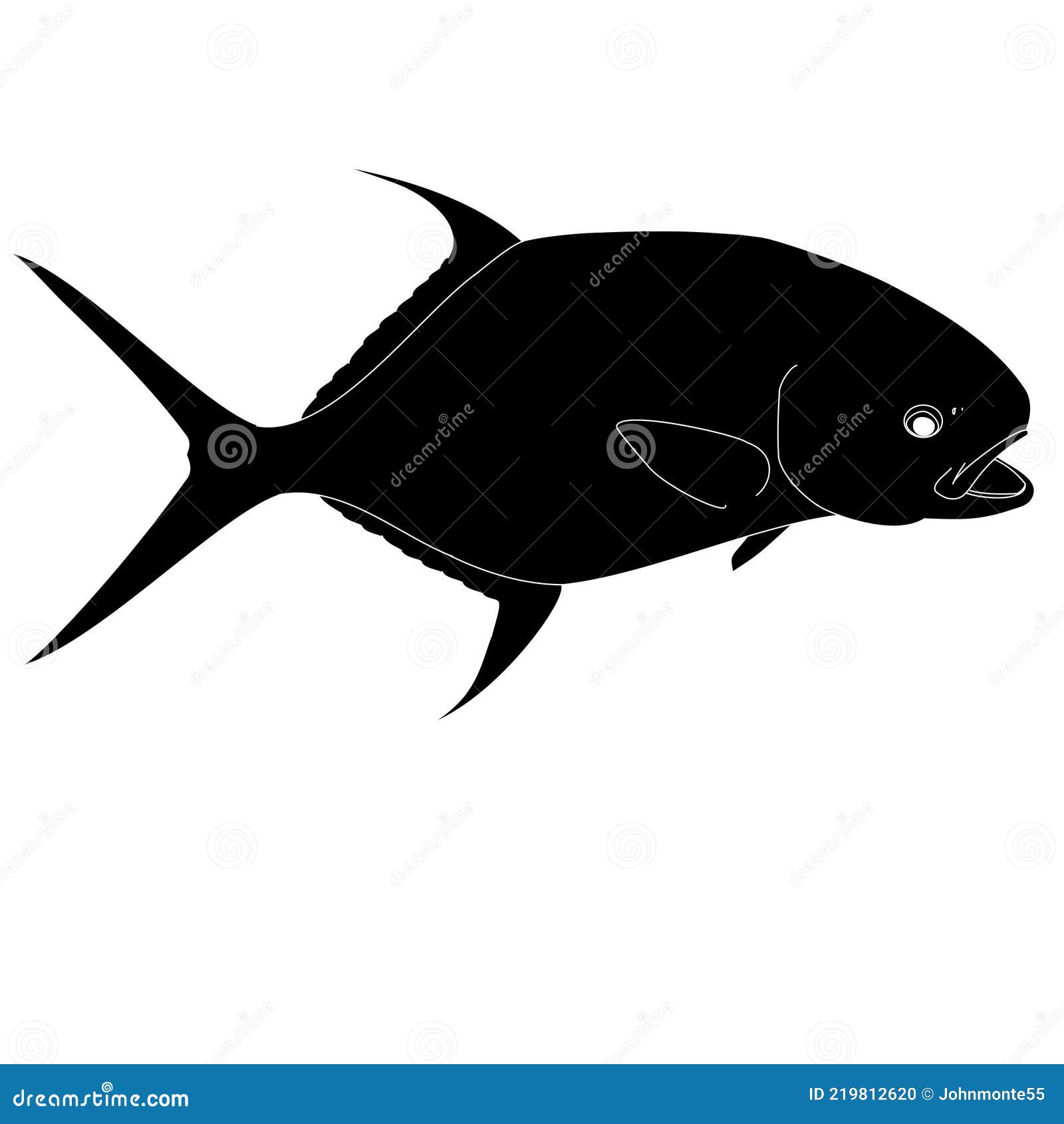 Outline Silhouette of a Permit Fish Stock Photo - Image of colored ...