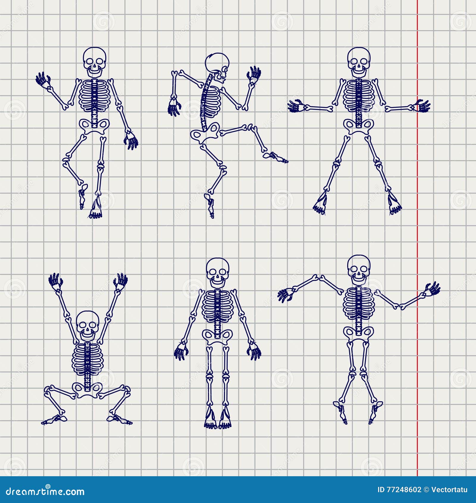 Outline Skeletons Set on Notebook Page Stock Vector - Illustration of ...