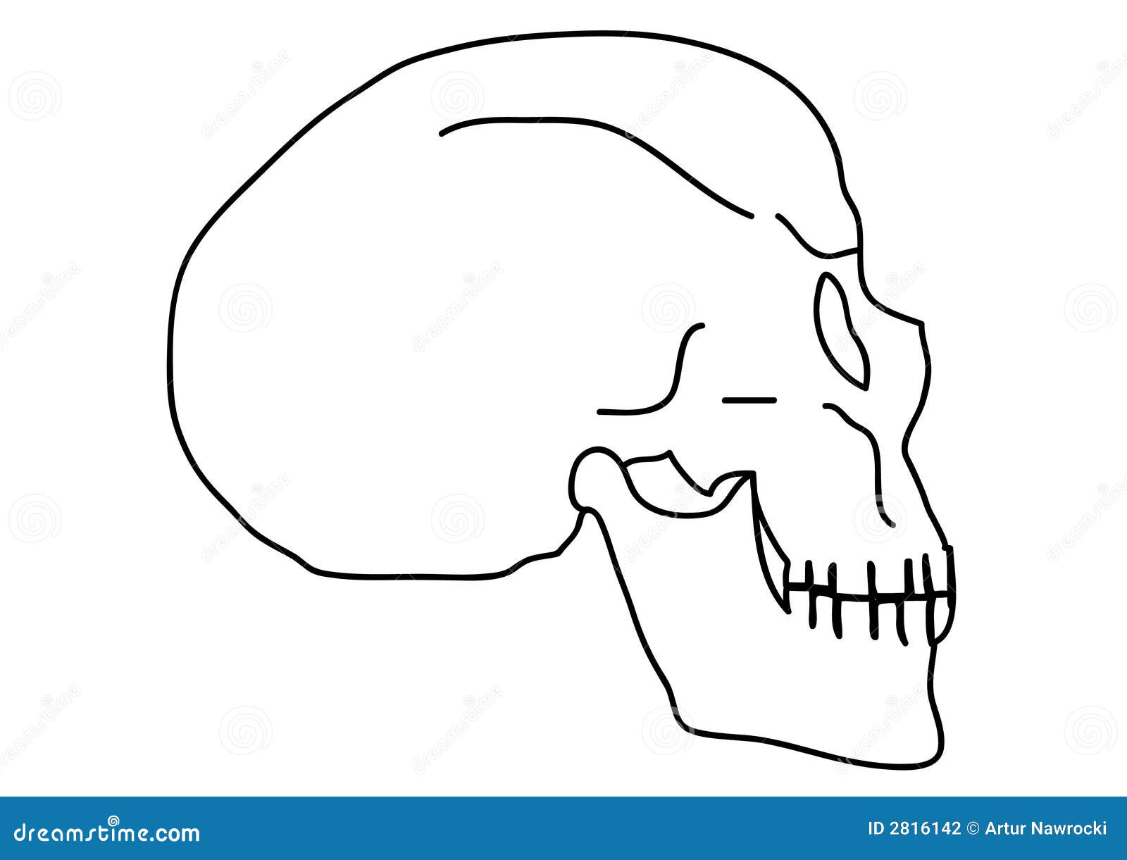 Outline Skull And Snake Vector Icon. Isolated Black Simple Line Element ...