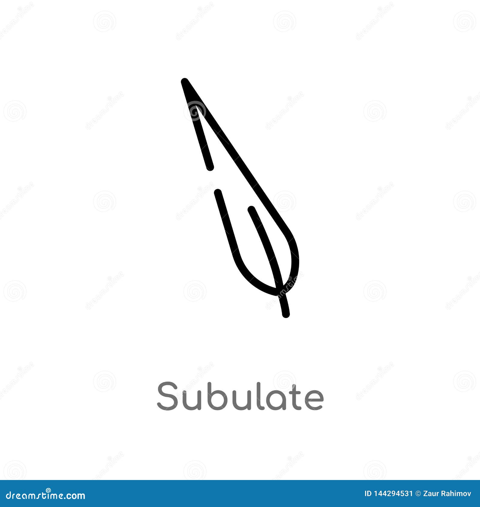 Outline Subulate Vector Icon. Isolated Black Simple Line Element ...