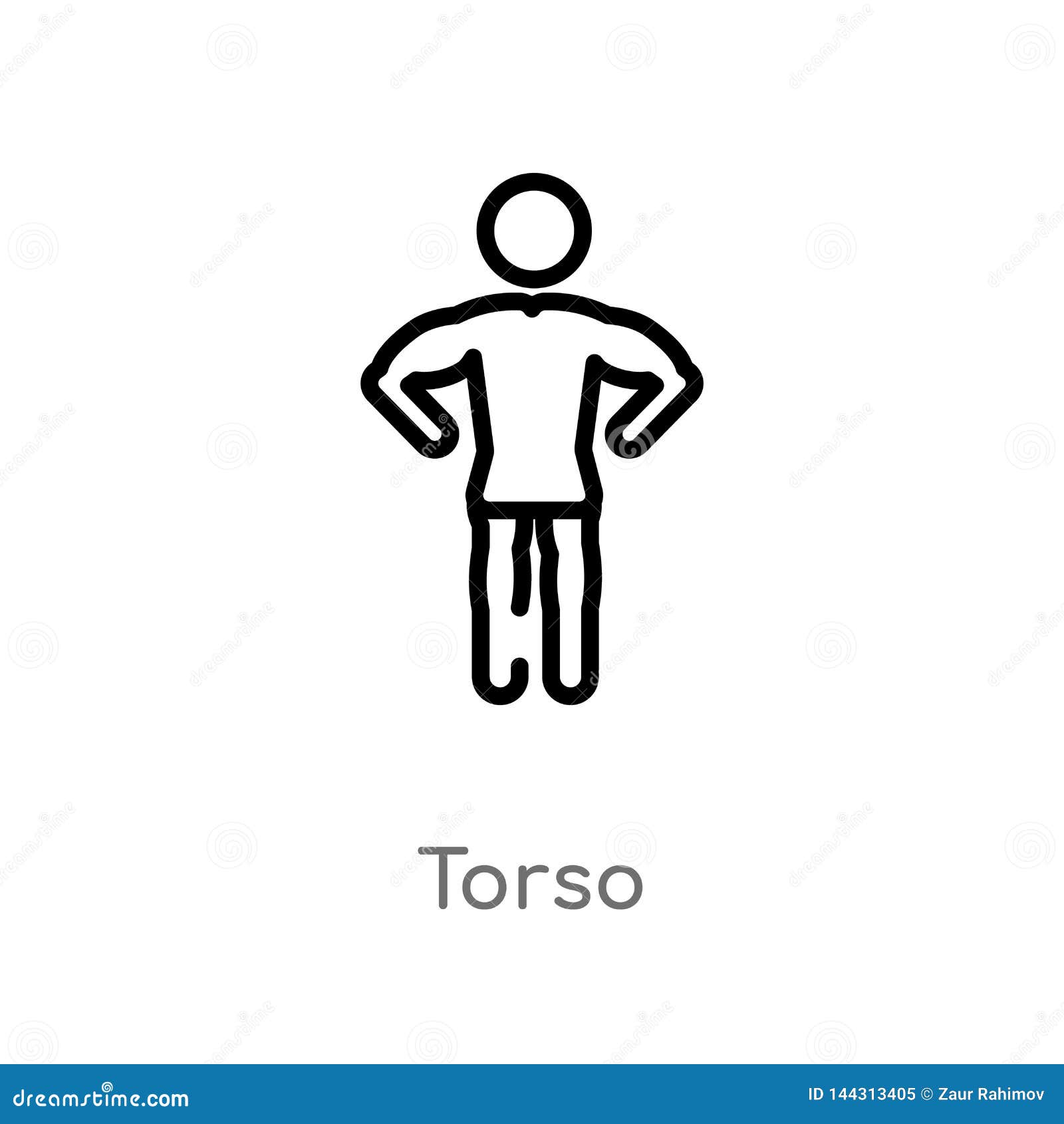 Outline Torso Vector Icon. Isolated Black Simple Line Element ...