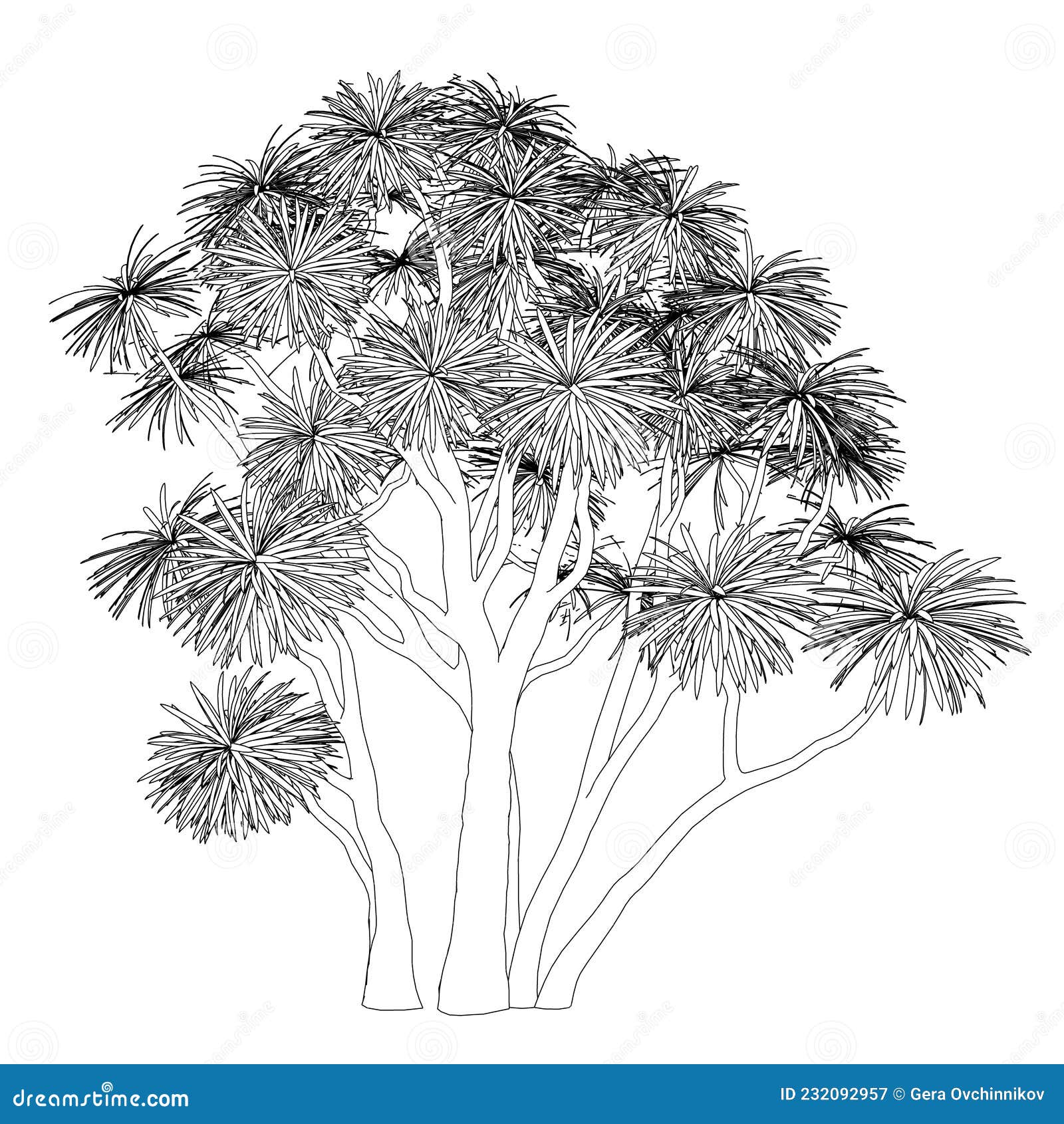 Outline of a Tree from Black Lines Isolated on a White Background. 3D ...