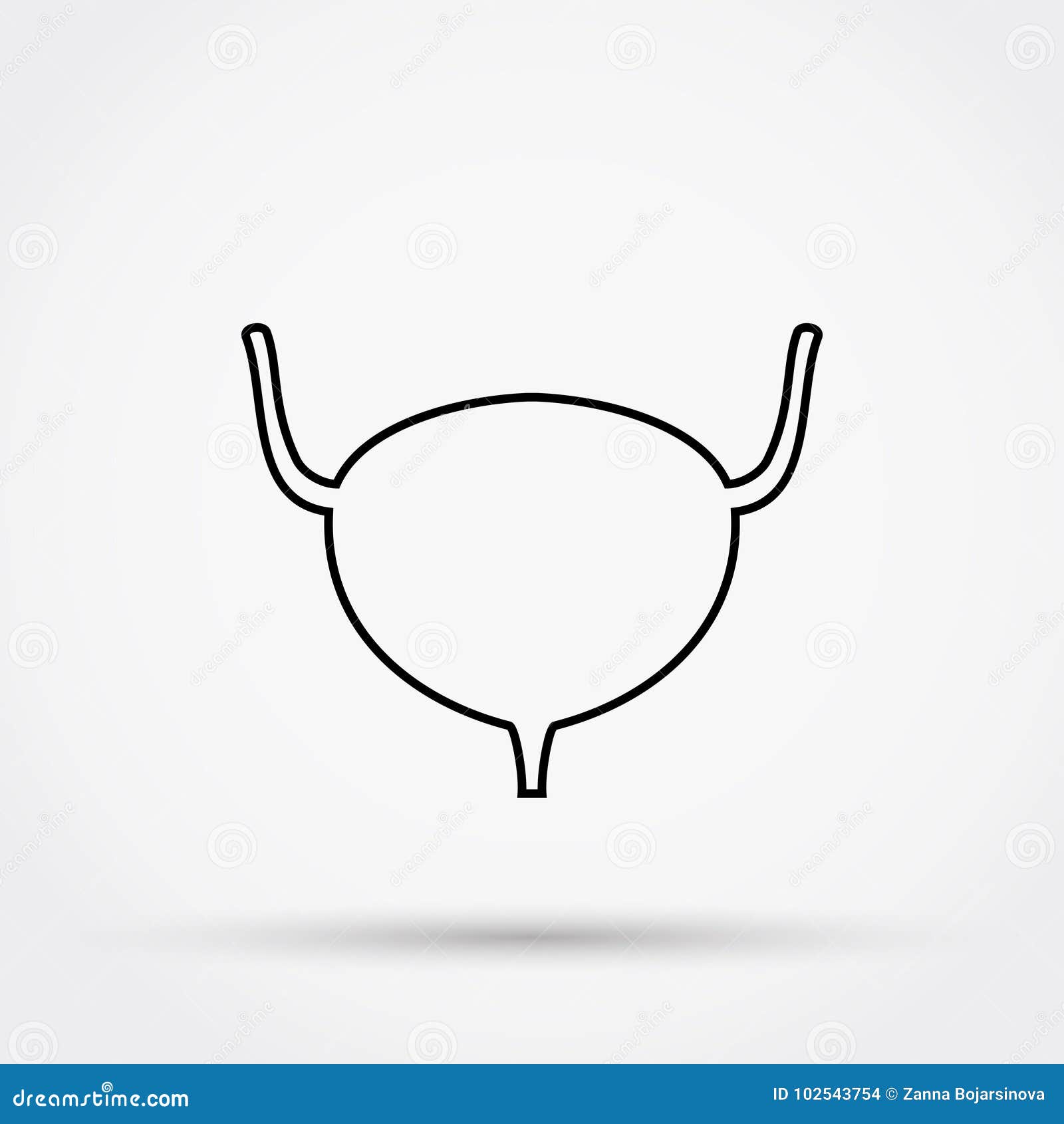 Bladder. Vector Drawing | CartoonDealer.com #145561263