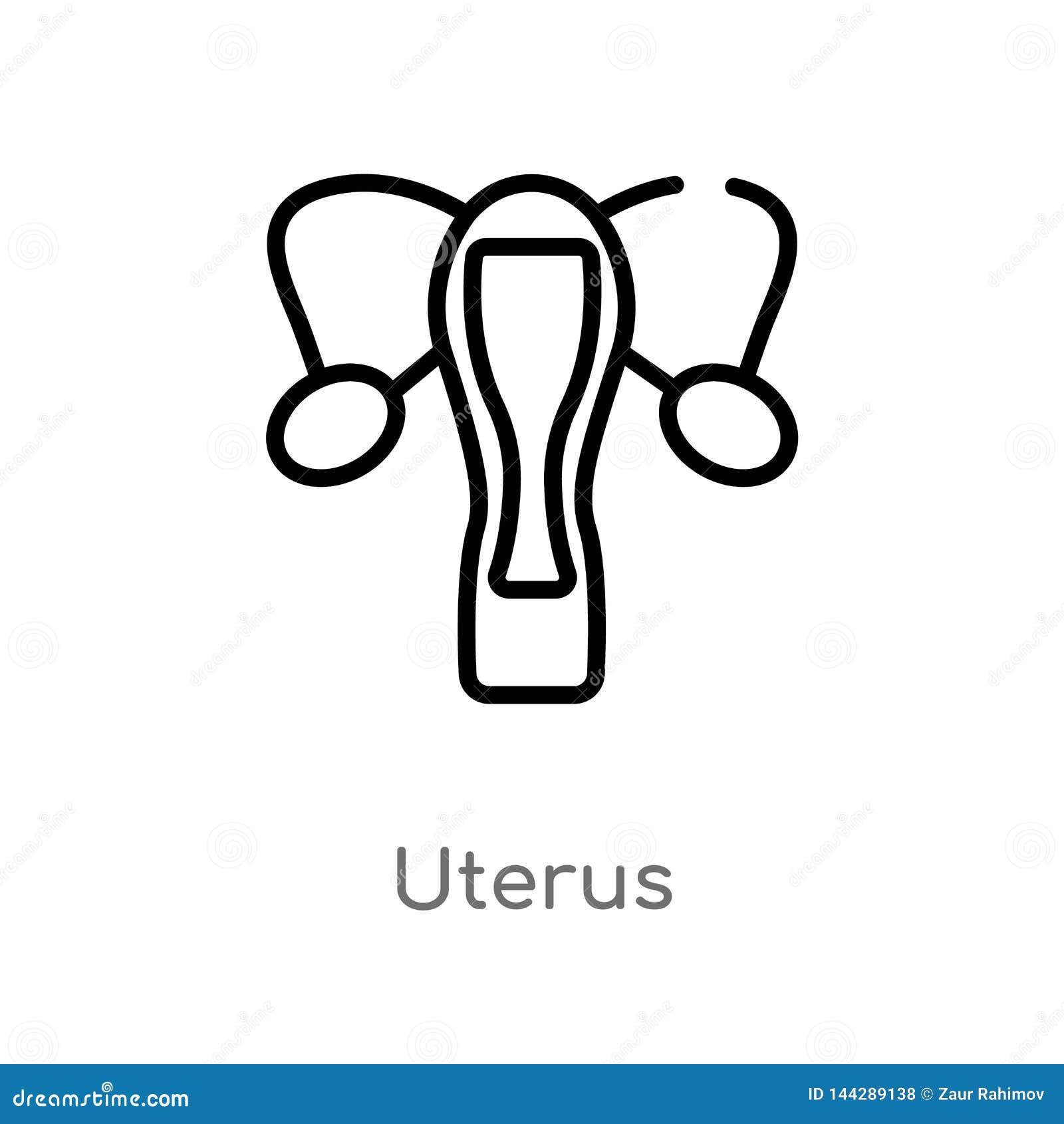 Outline Uterus Vector Icon Isolated Black Simple Line Element