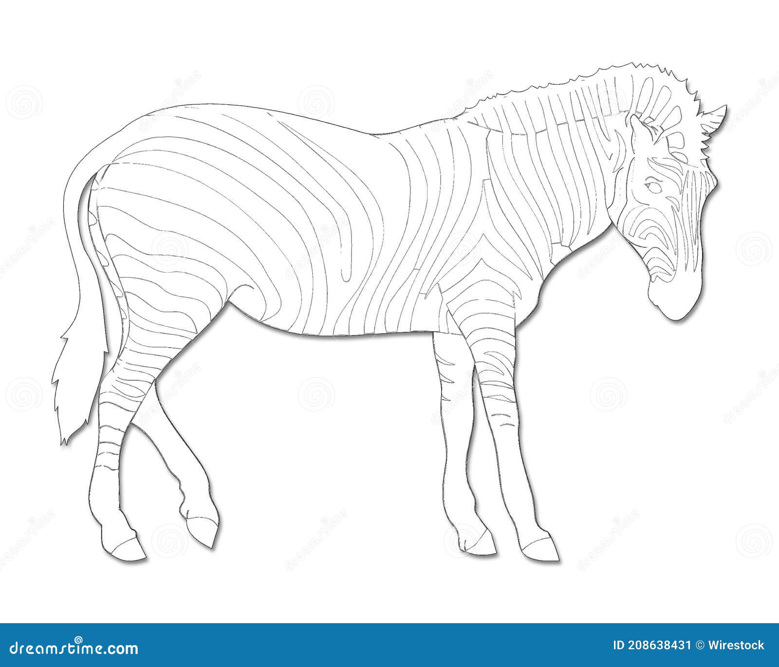 Zebra Stripe Outline