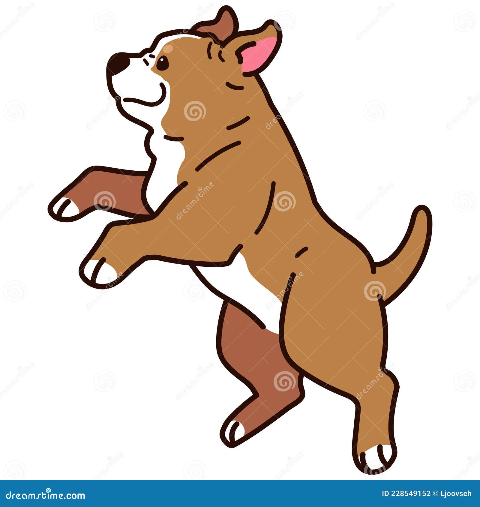 Outlined Adorable Tricolored Calico Cat Head Vector Illustration ...