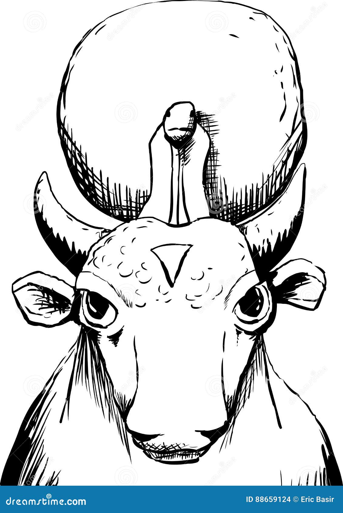Outlined Apis Bull God with Sun Disk Stock Illustration - Illustration ...