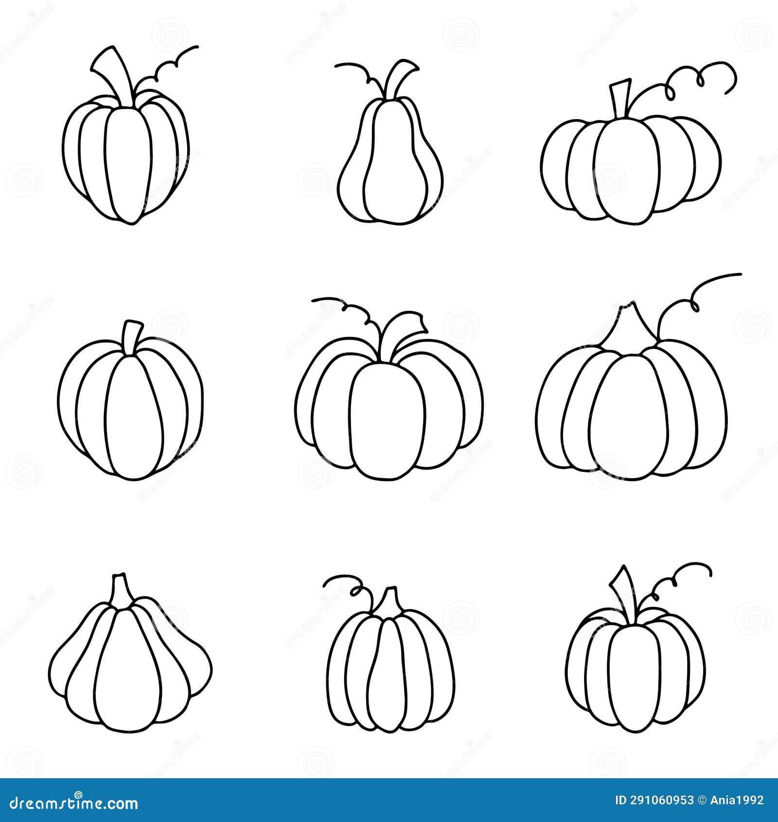Outlined Pumpkin. Set of Pumpkins in Doodle Style Stock Illustration ...