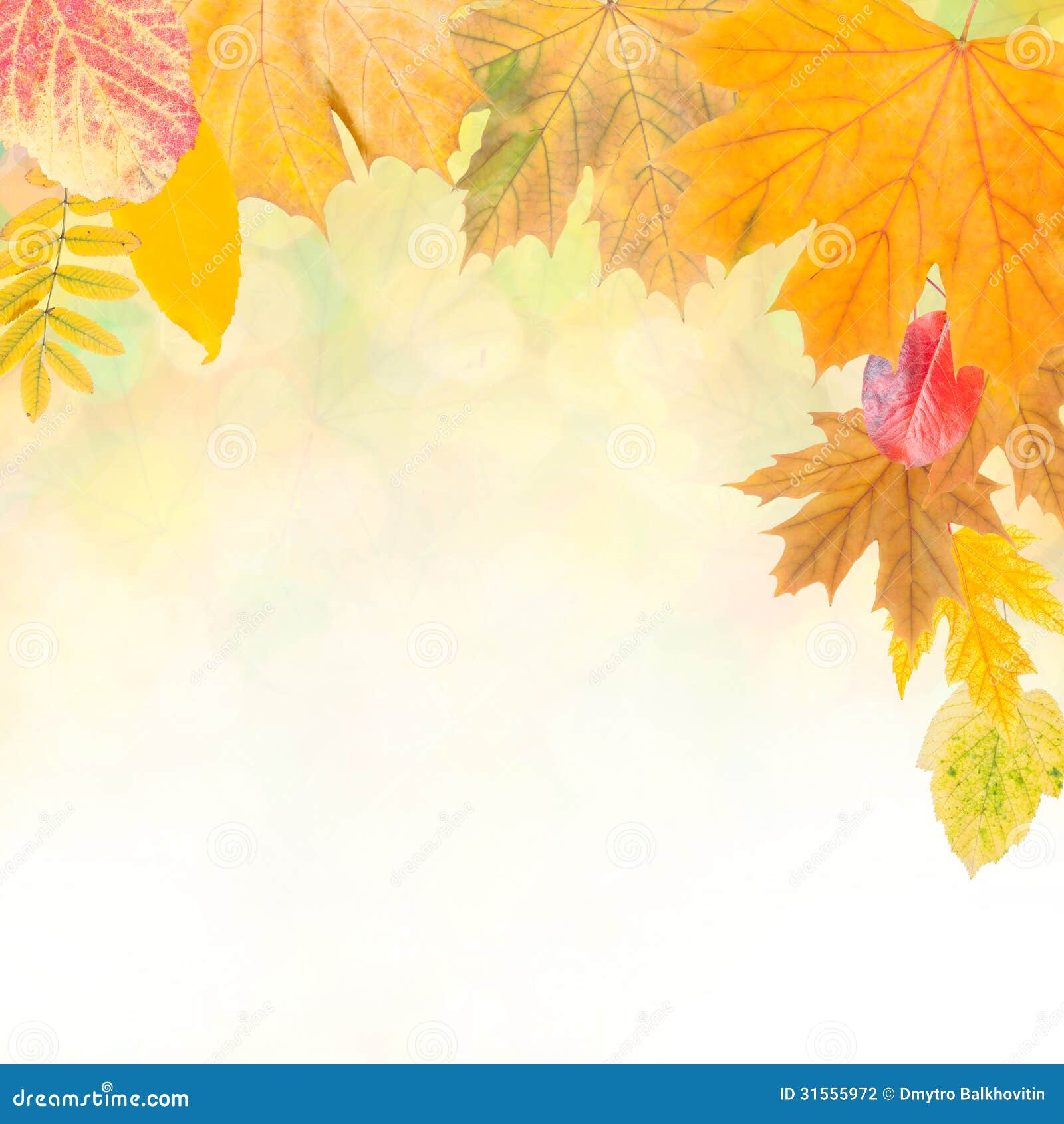 Outono Colorido Background-5 Ilustração Stock - Ilustração de bandeira ...