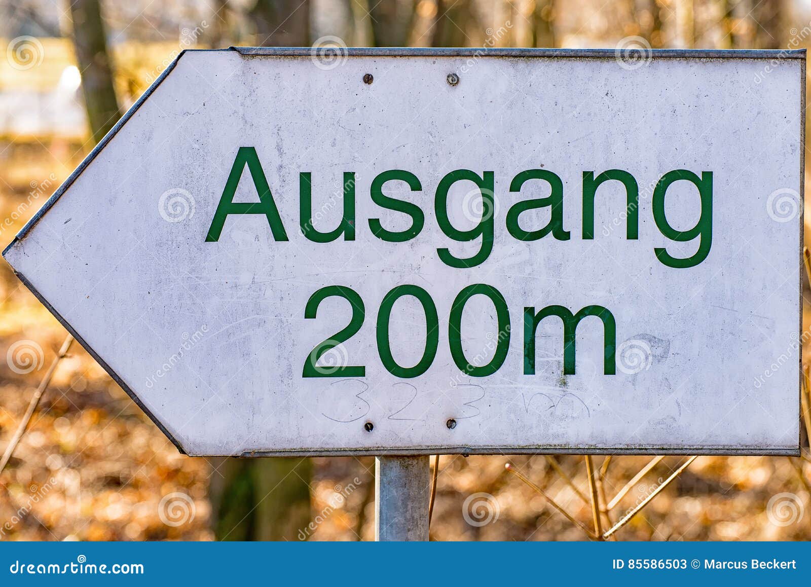 Output in 200 meters stock image. Image of loaf, bathing - 85586503