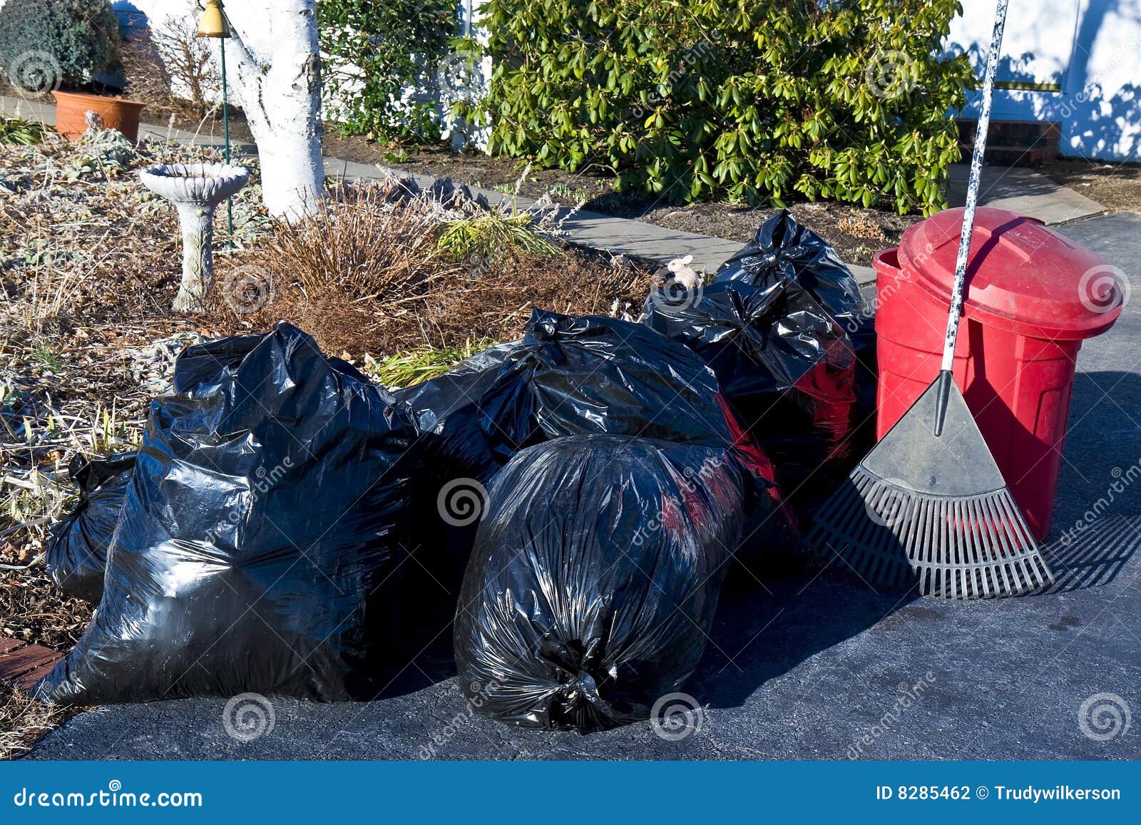 Outside Cleanup stock photo. Image of leaves, early, trash - 8285462