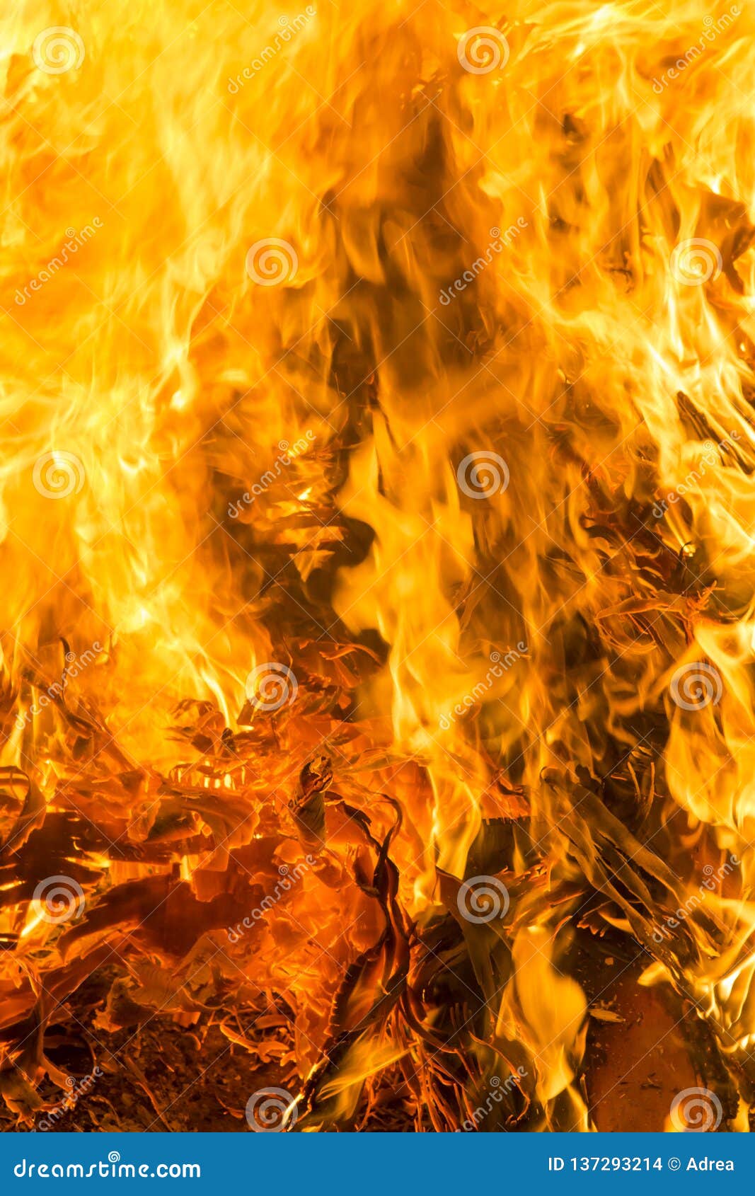 Outside Fire in a Camping Base Stock Photo - Image of tent, protect ...