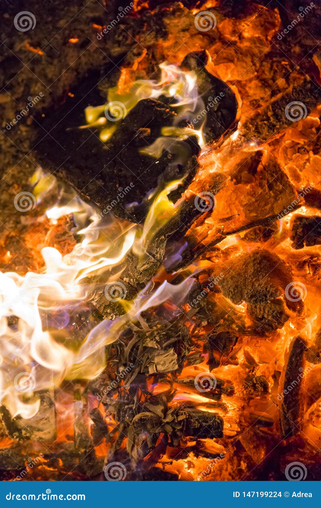 Outside Fire in a Camping Base Stock Photo - Image of base, tent: 147199224