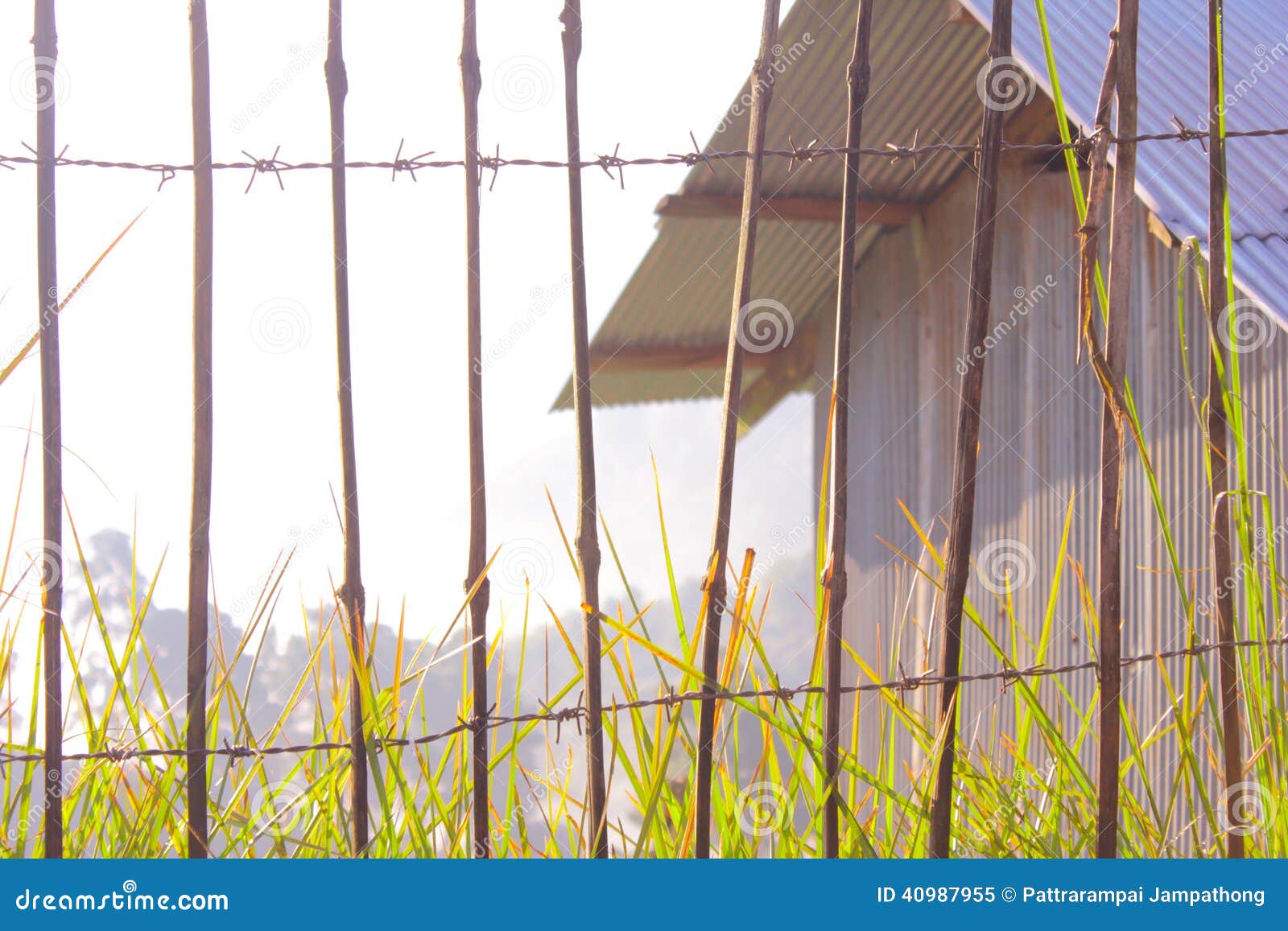 Outside the gate stock image. Image of nature, fence - 40987955