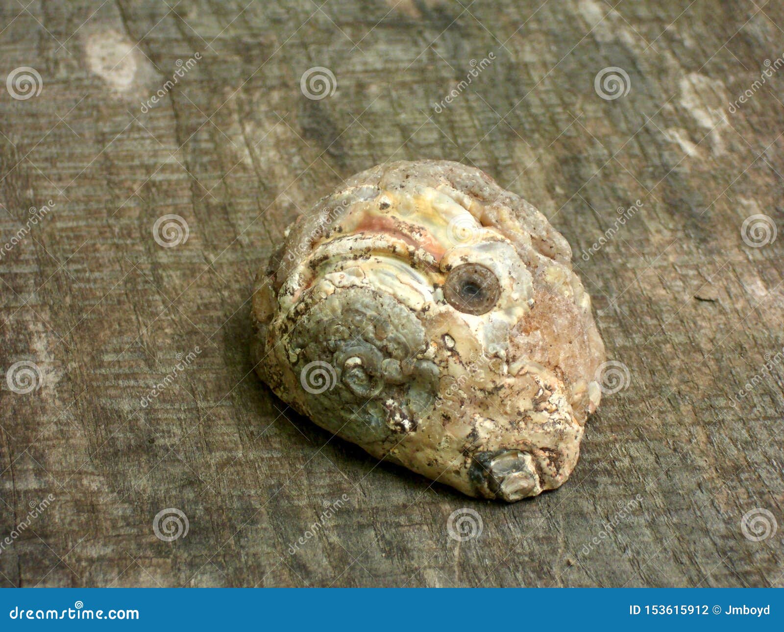 Outside of a Geode Crystal on a Wooden Surface. Stock Photo - Image of ...