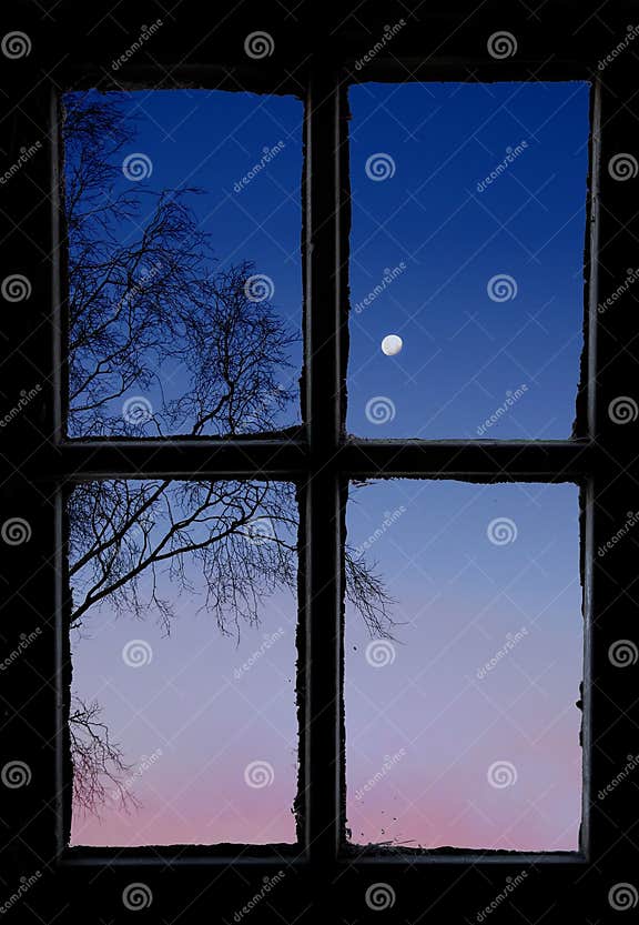 Outside my window stock photo. Image of evening, tree - 1949876
