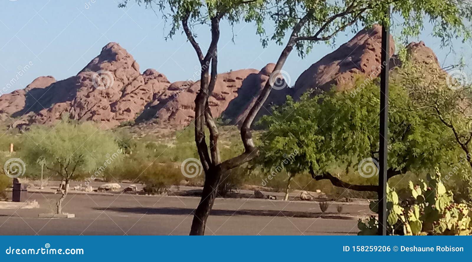 Fishing In The Waters Of Vlasina Lake Between Anchored Floating Island ...