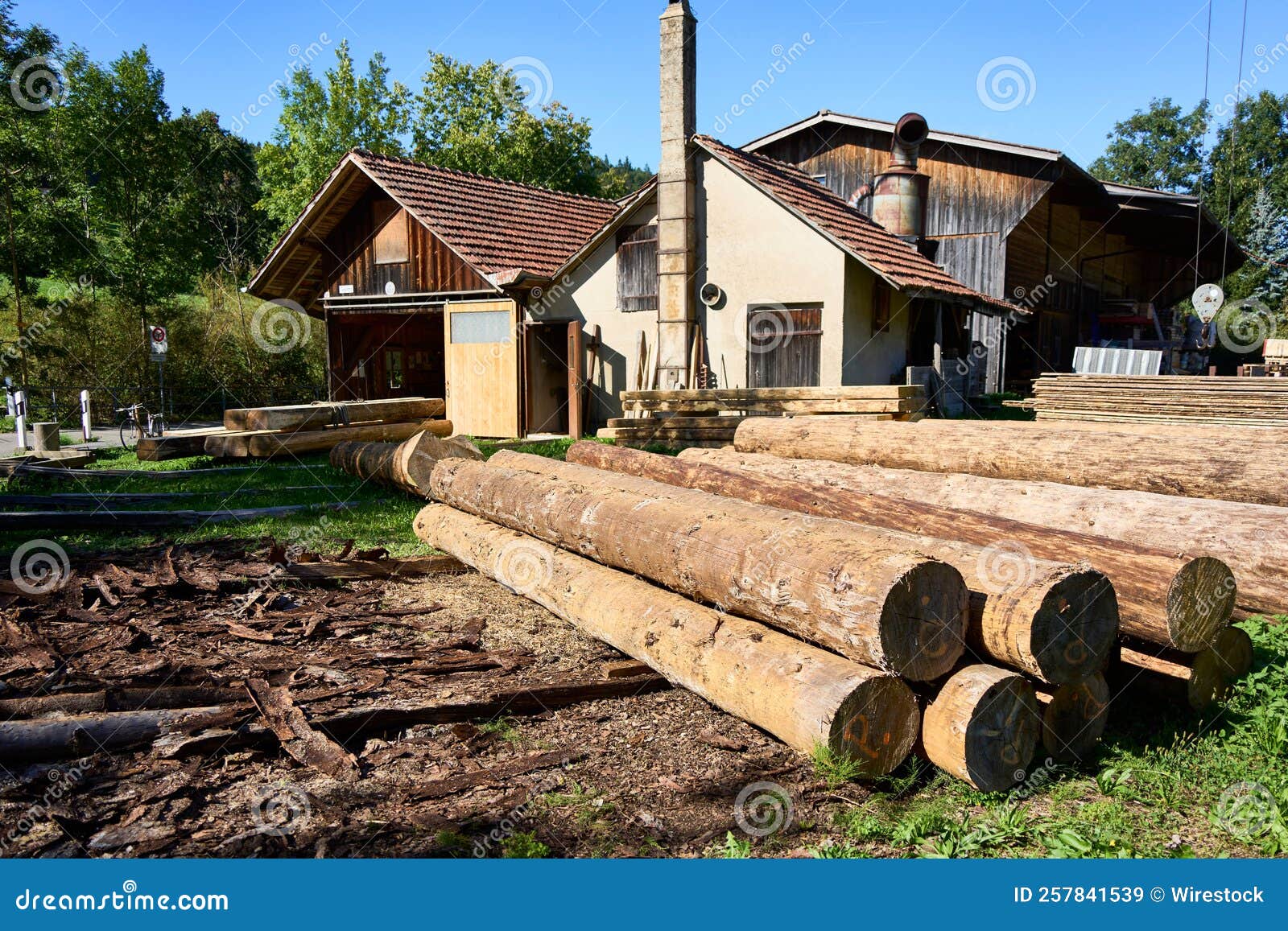 Outside of the Sawmill with Logs on the Ground on a Sunny Day Stock ...