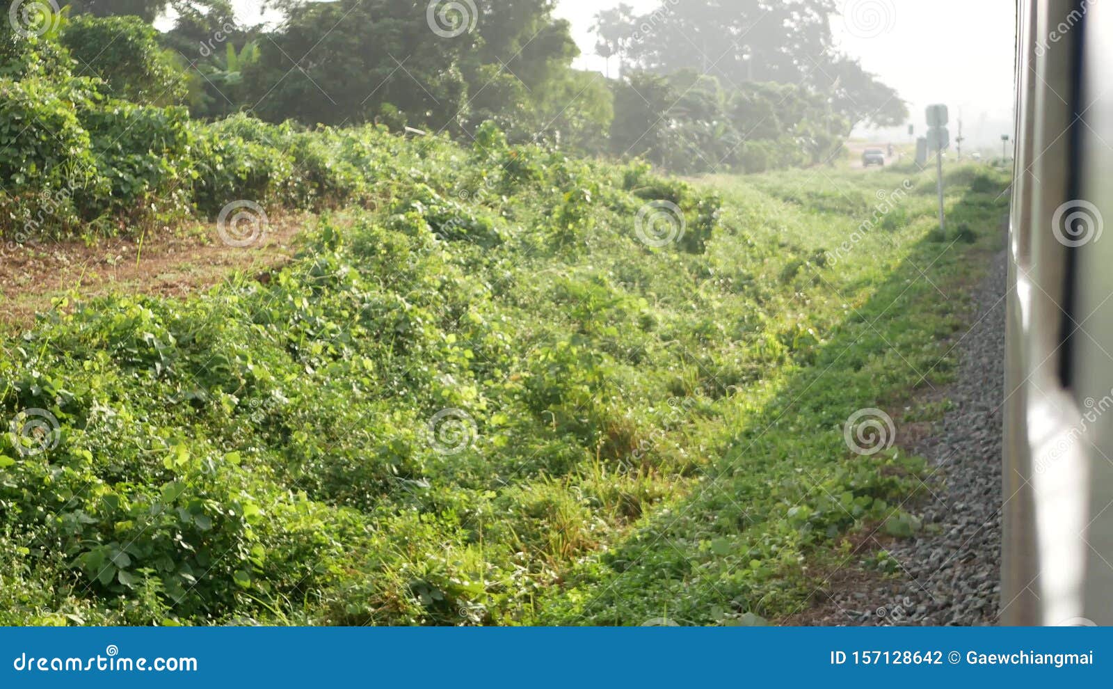 Outside View, Greenery, Watching from a Train Window while Traveling by ...