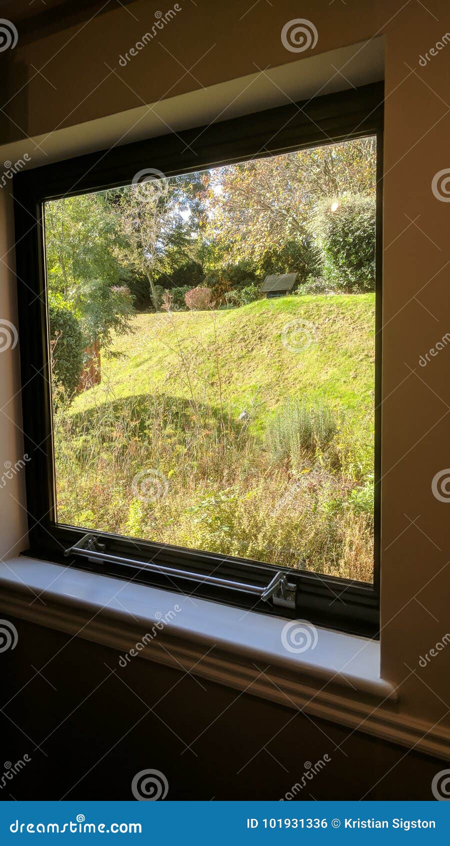 Outside View through Window Stock Photo - Image of window, nature ...