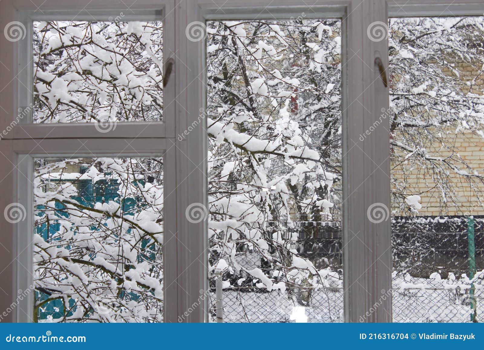 Outside the Window Winter,snow on a Tree Outside the Window Stock Photo ...