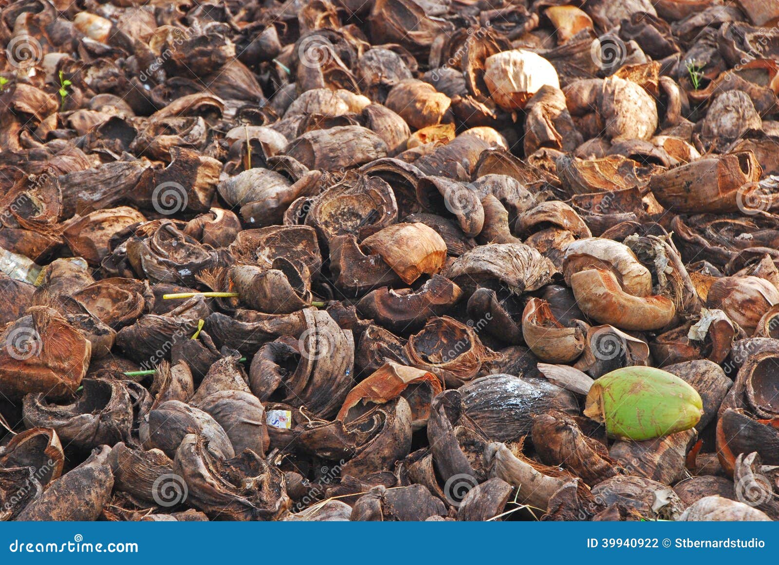 Outstanding and Different stock photo. Image of catching - 39940922