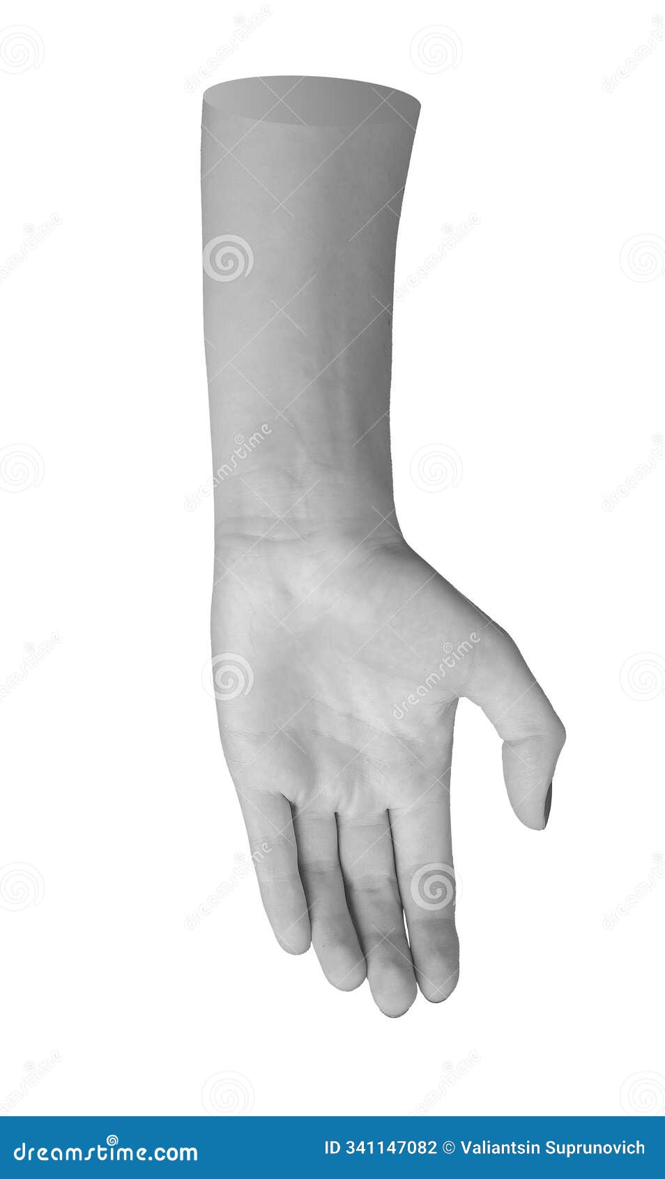 Outstretched Left Hand and Arm, Palm Facing Front in Grayscale. Fingers ...