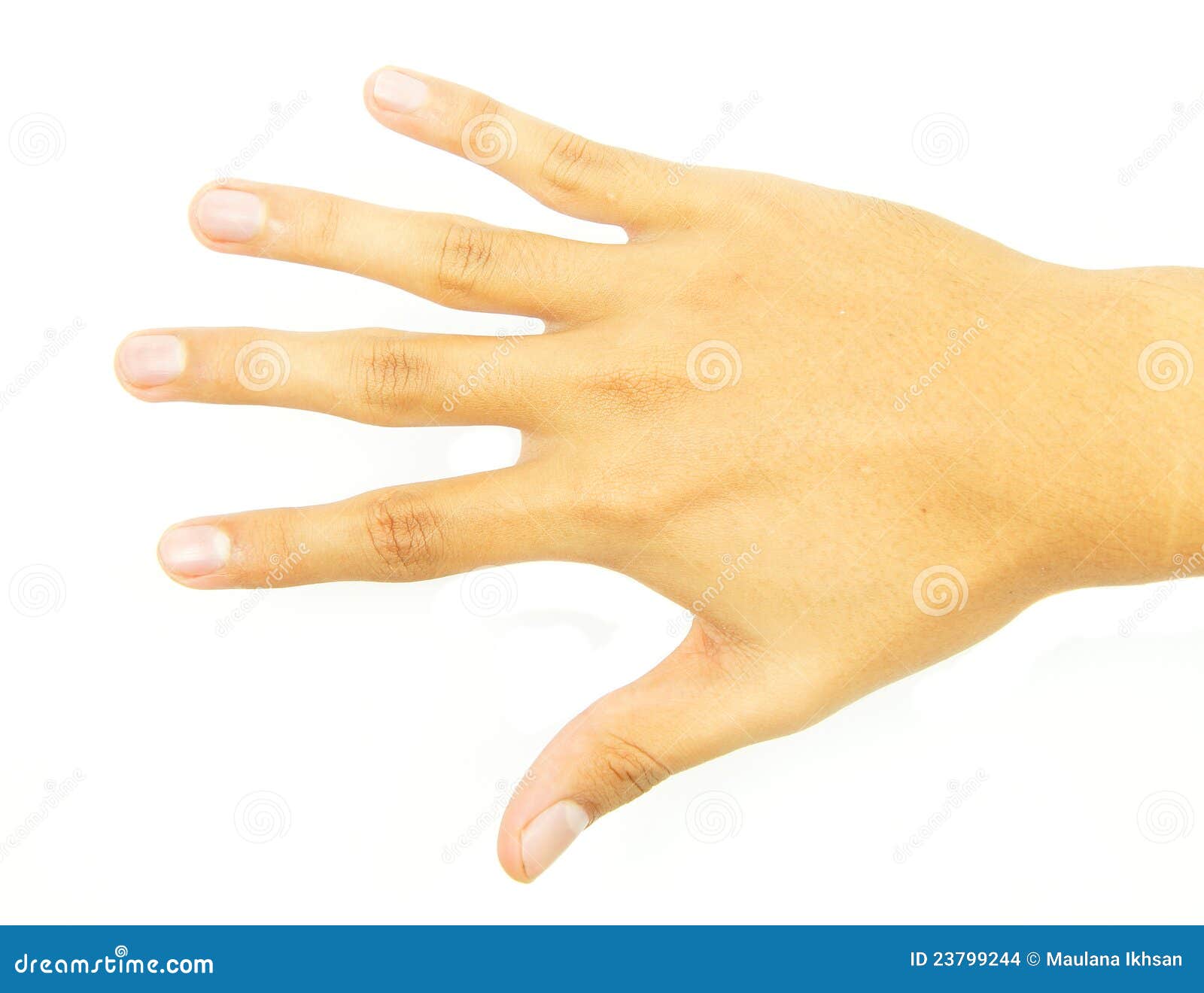 Ouvrez la main droite photo stock. Image du main, doigt - 23799244