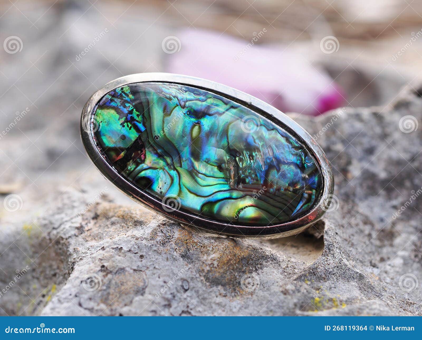 Oval Abalone on a Light Stone Background Stock Photo - Image of ...
