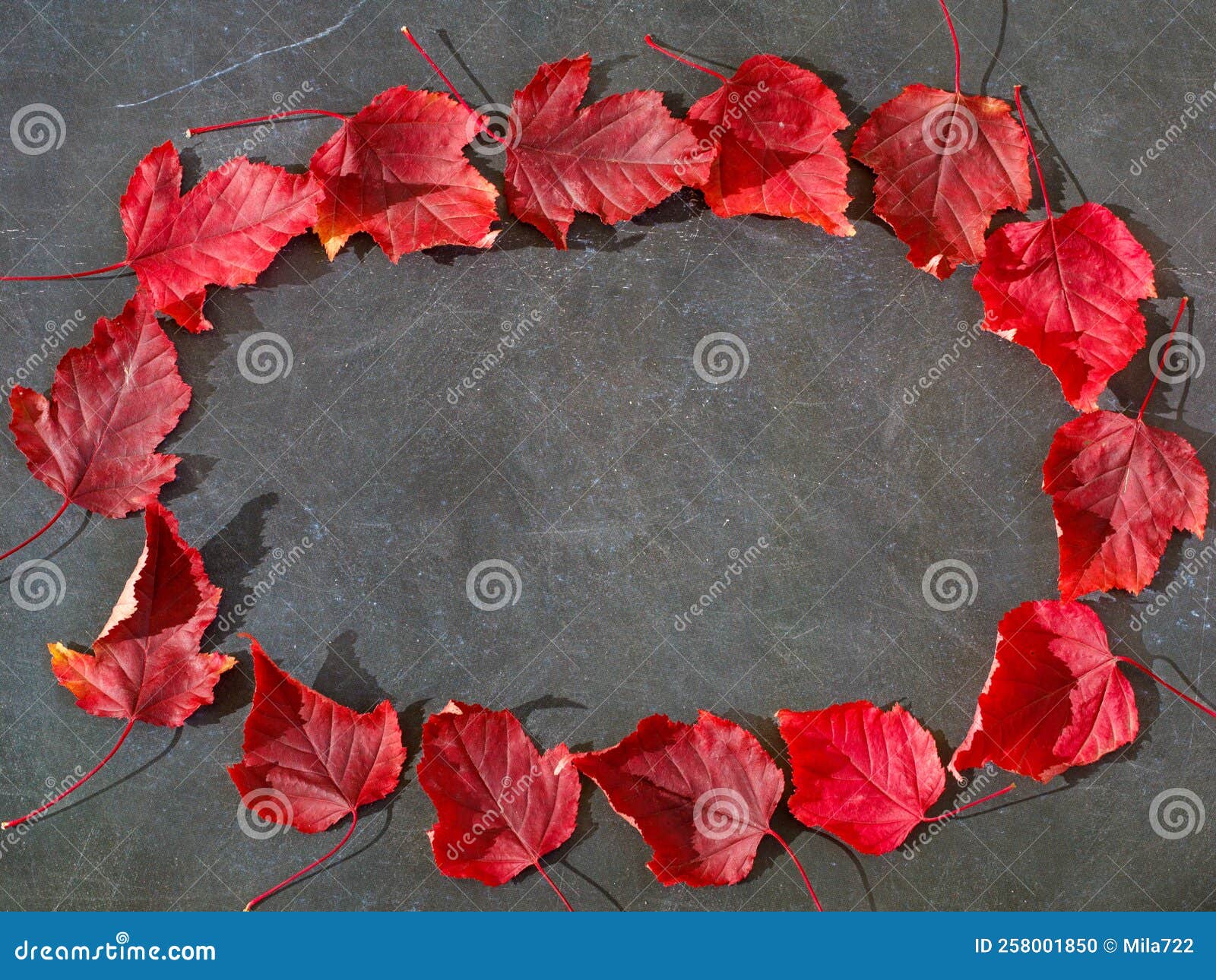 Oval Circle Border Frame of Red Colored Autumn Maple Leaves Falling on ...