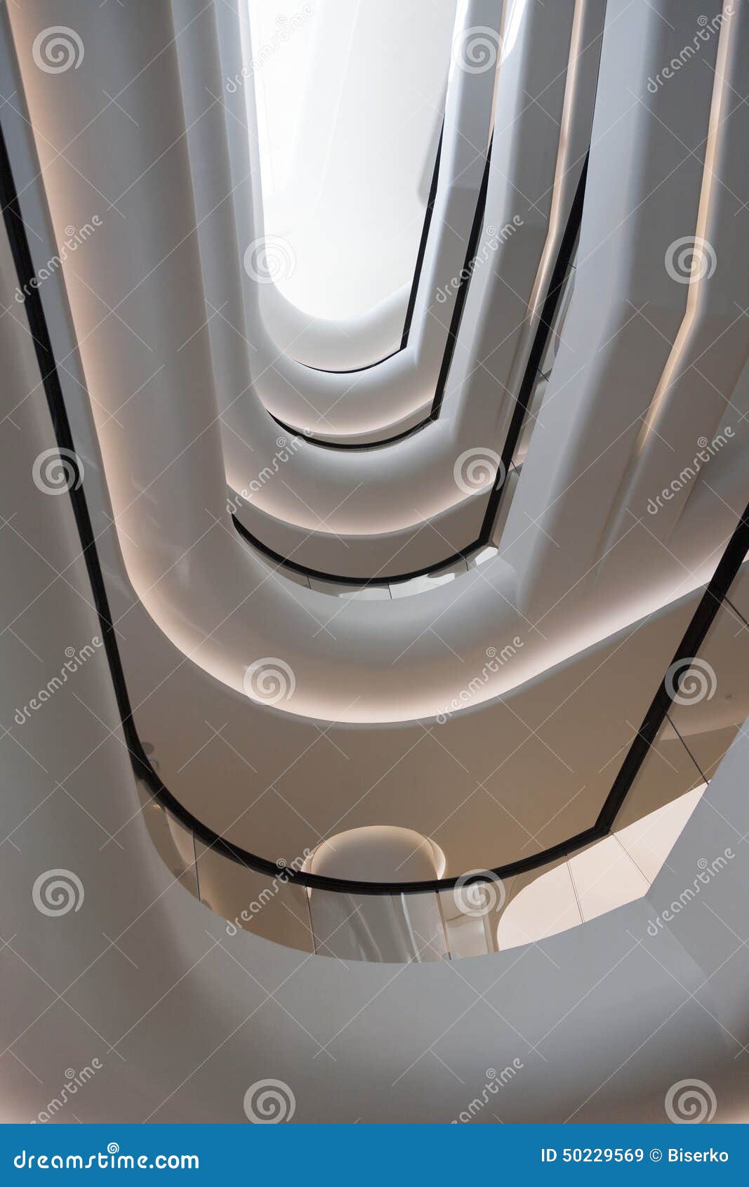 Oval lines stock image. Image of oval, lines, elegant - 50229569