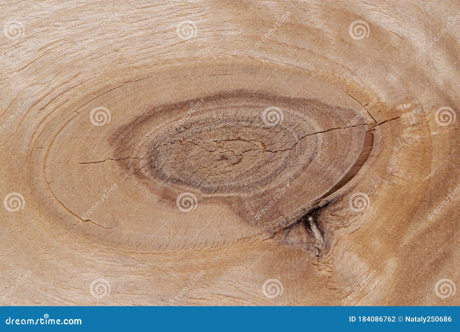 Oval Mark from Wooden Knot Light Brown Background Macro Stock Photo ...