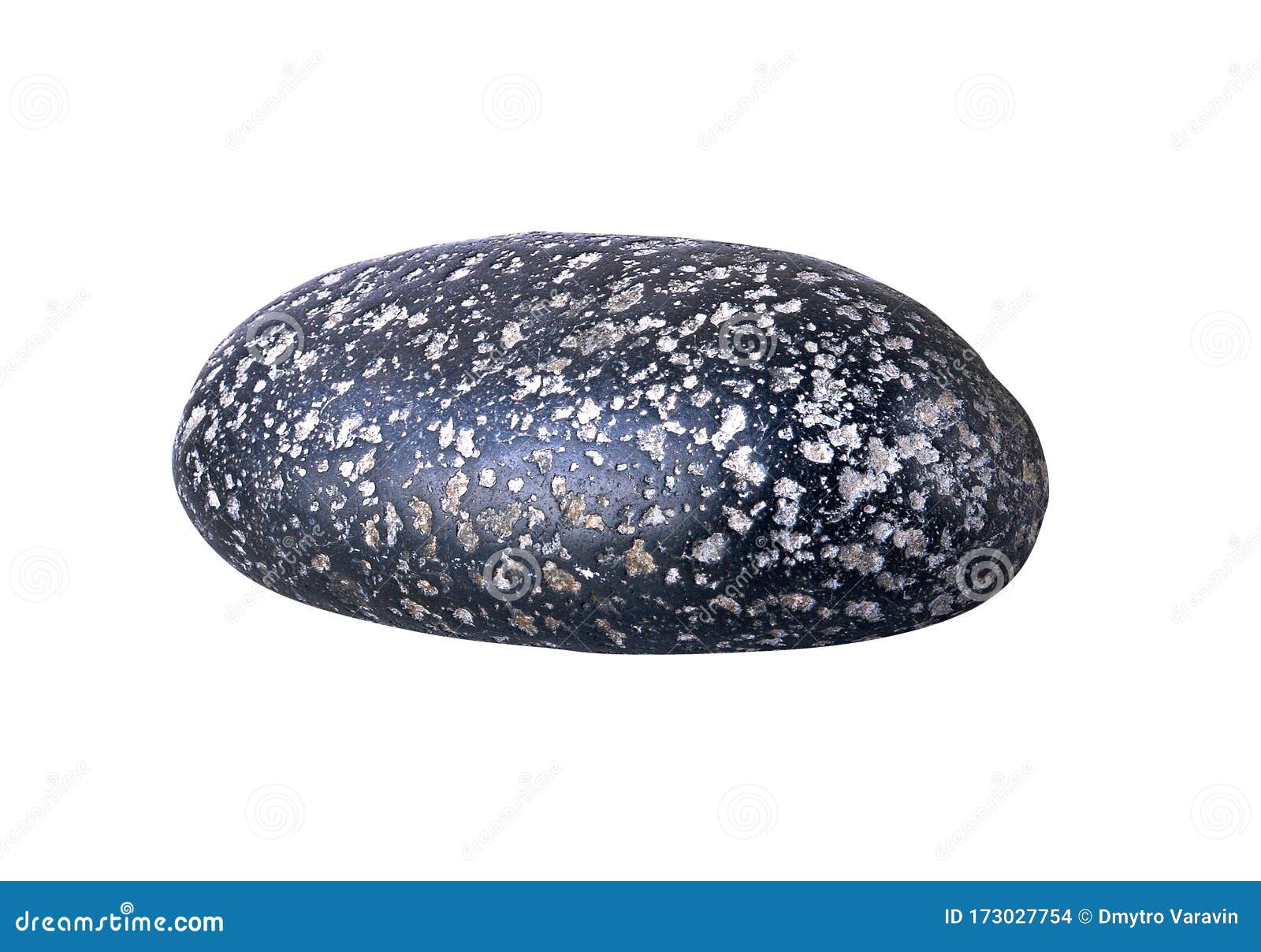 Oval pebble stone isolated stock photo. Image of grey - 173027754